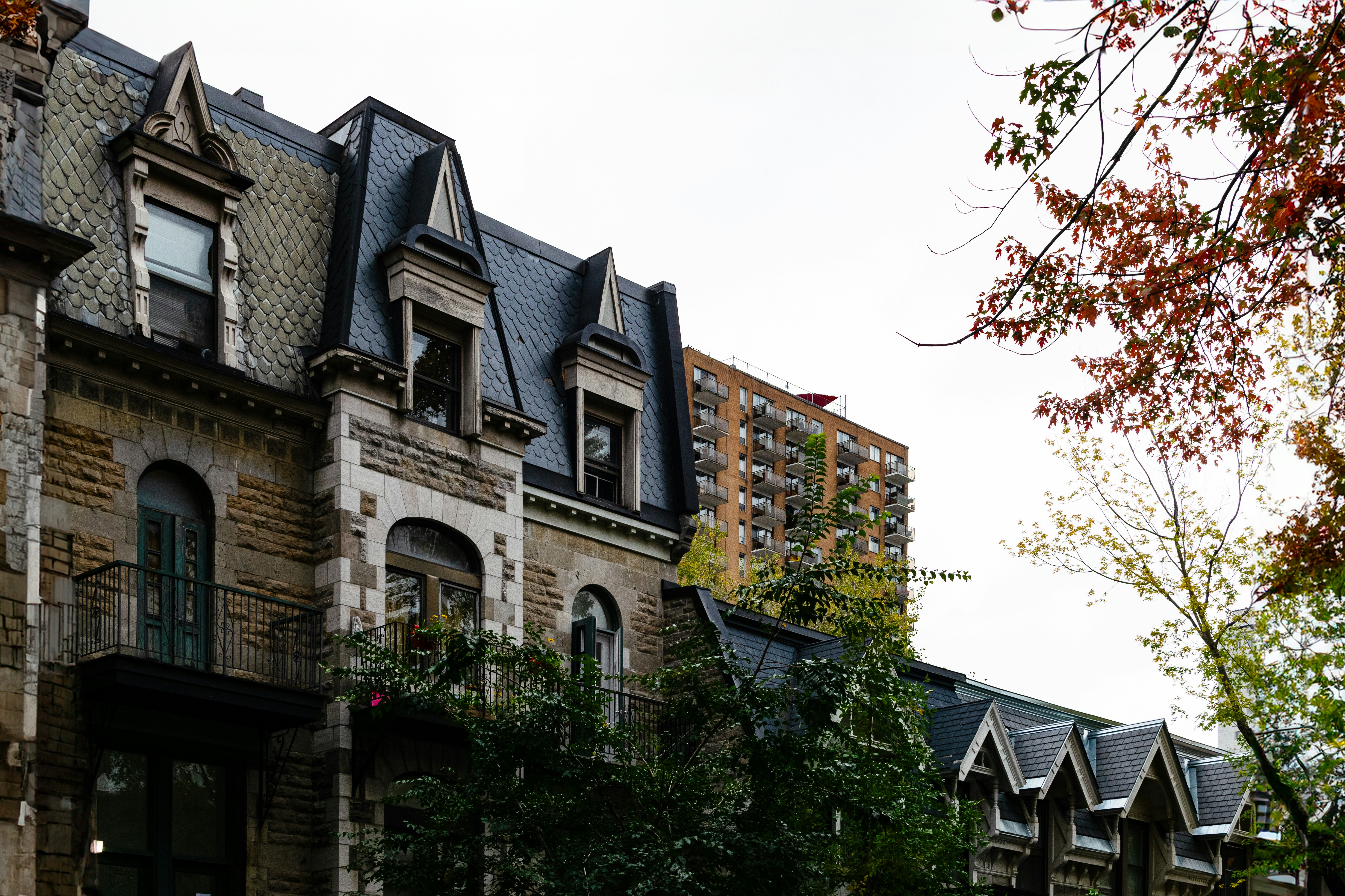 Additional photo of Vibrant Facades of Urban Harmony