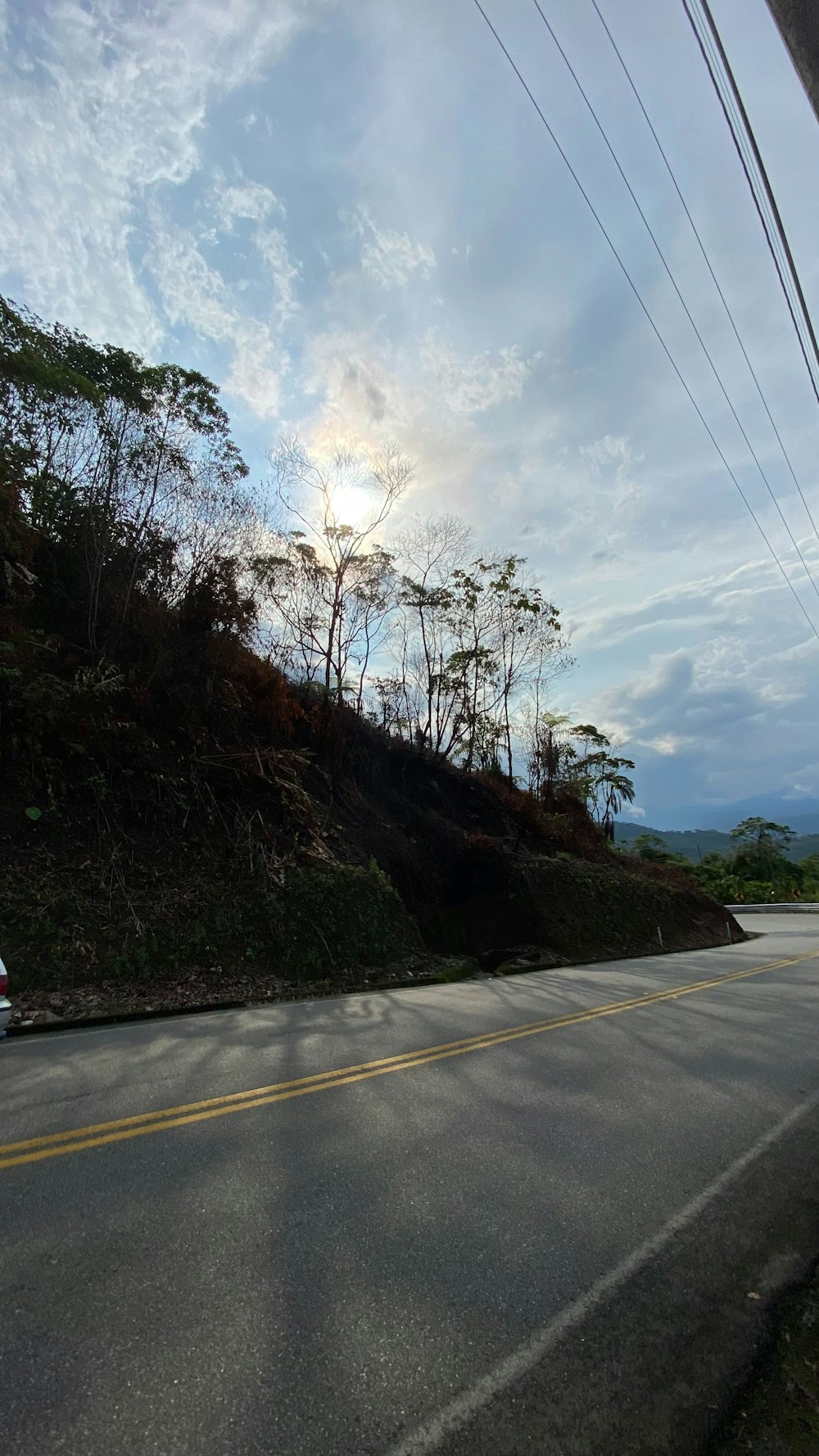 Foto Un coche que circula por una carretera junto a una exuberante ... Foto Un coche que circula por una carretera junto a una exuberante ...