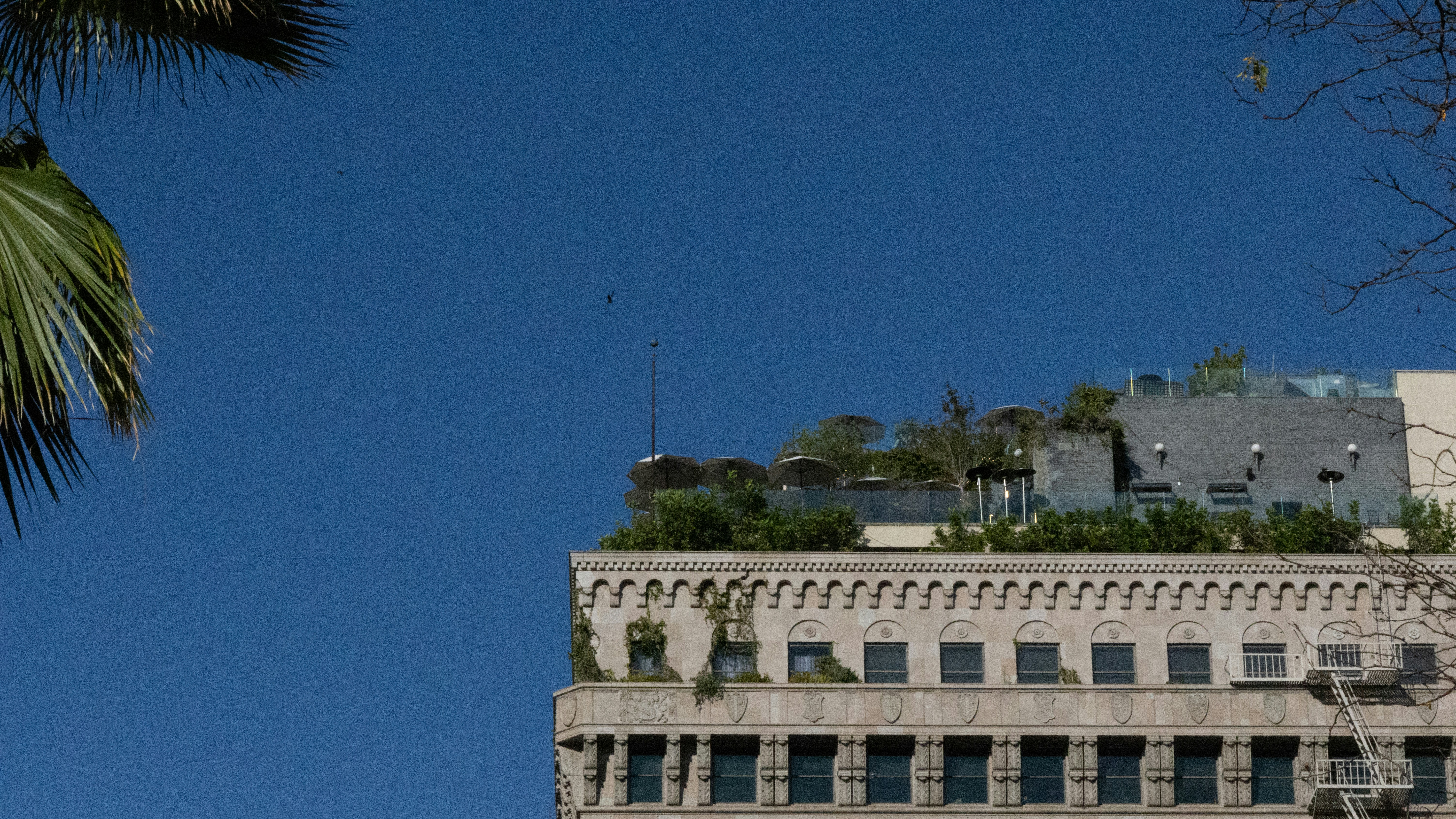 a very tall building with a lot of windows