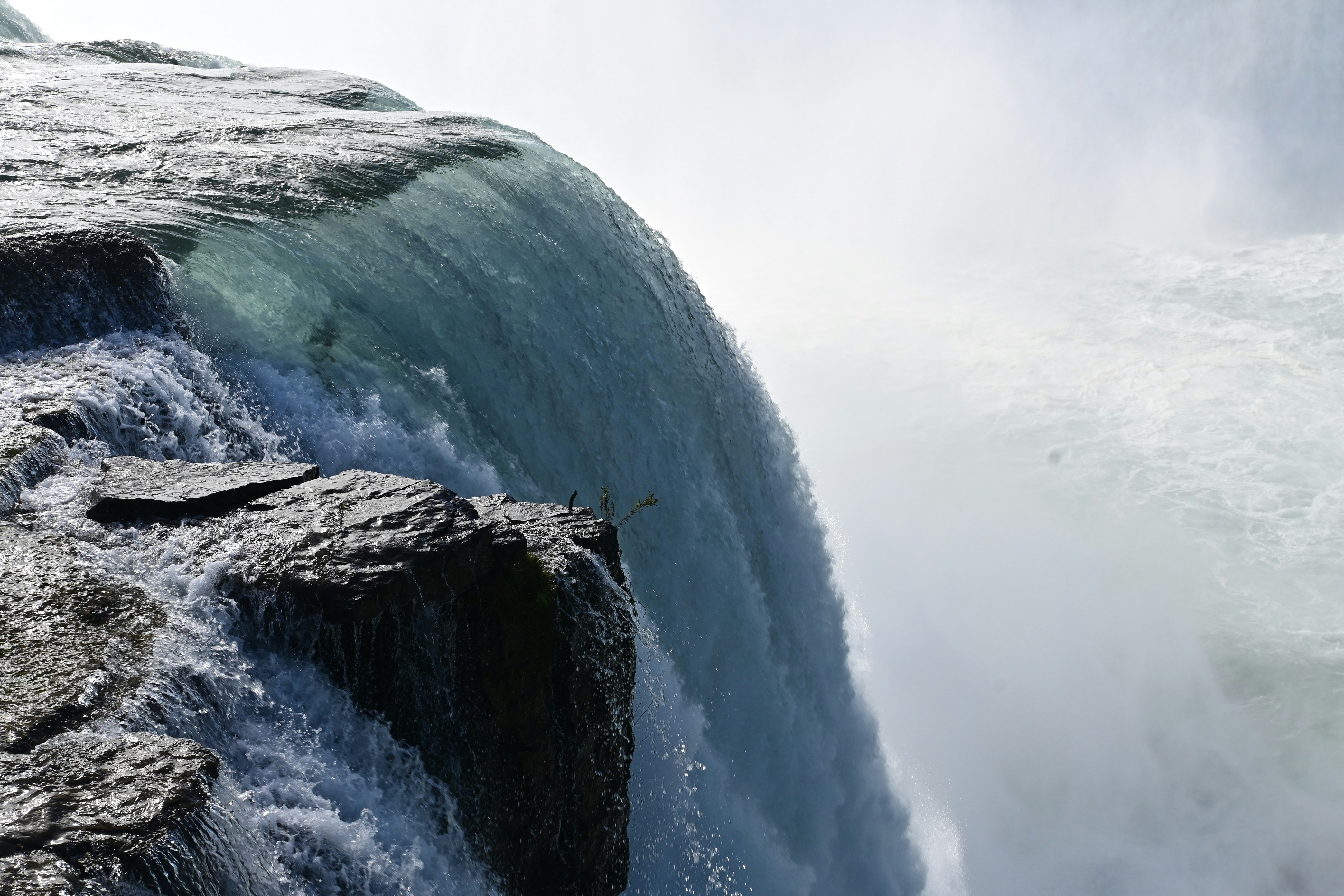 Curtain Edge: Granite Cliff Drinks the Mist