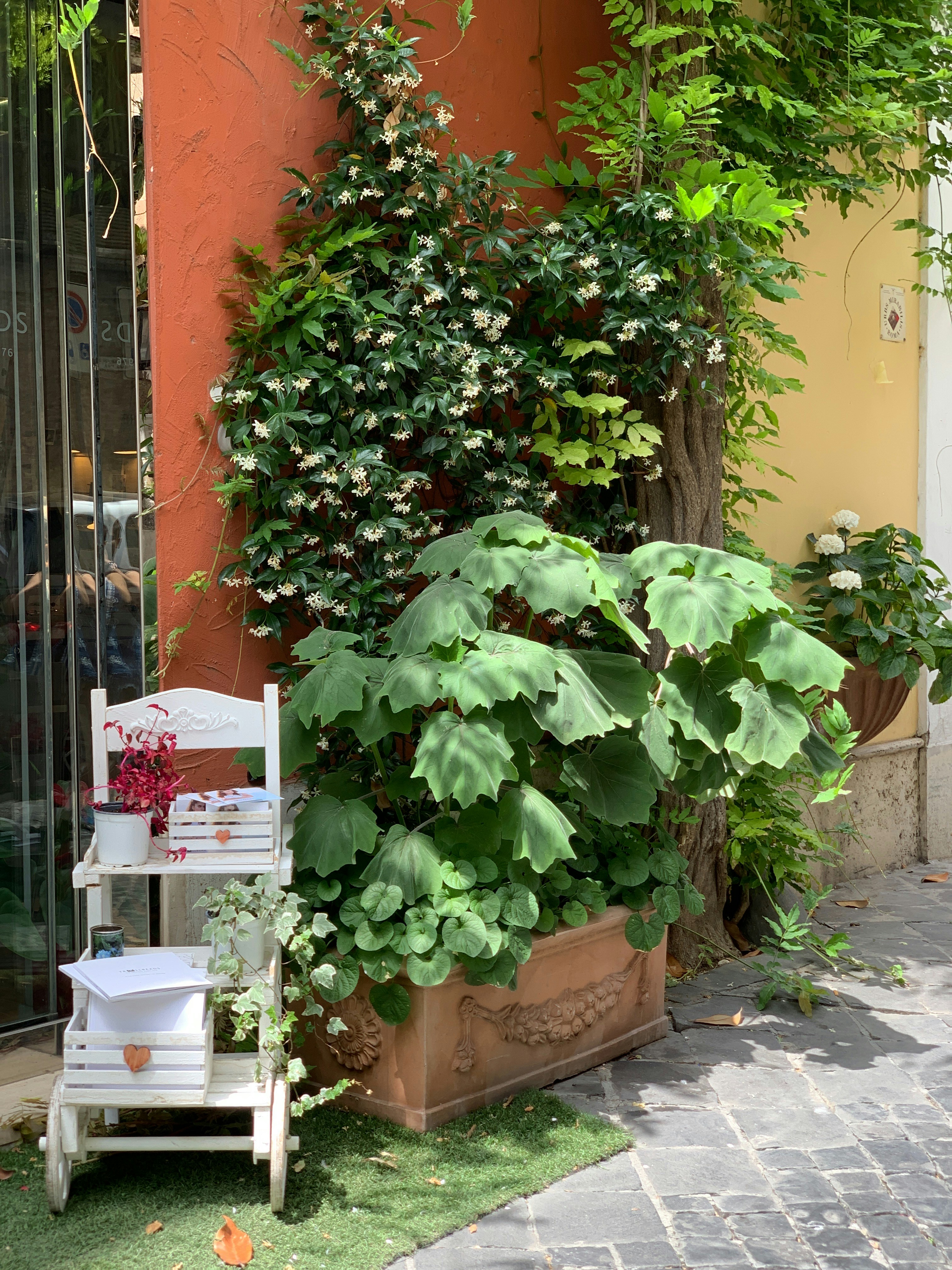 Plants on the wall of a building. White wooden stand with planter and papers on one side.