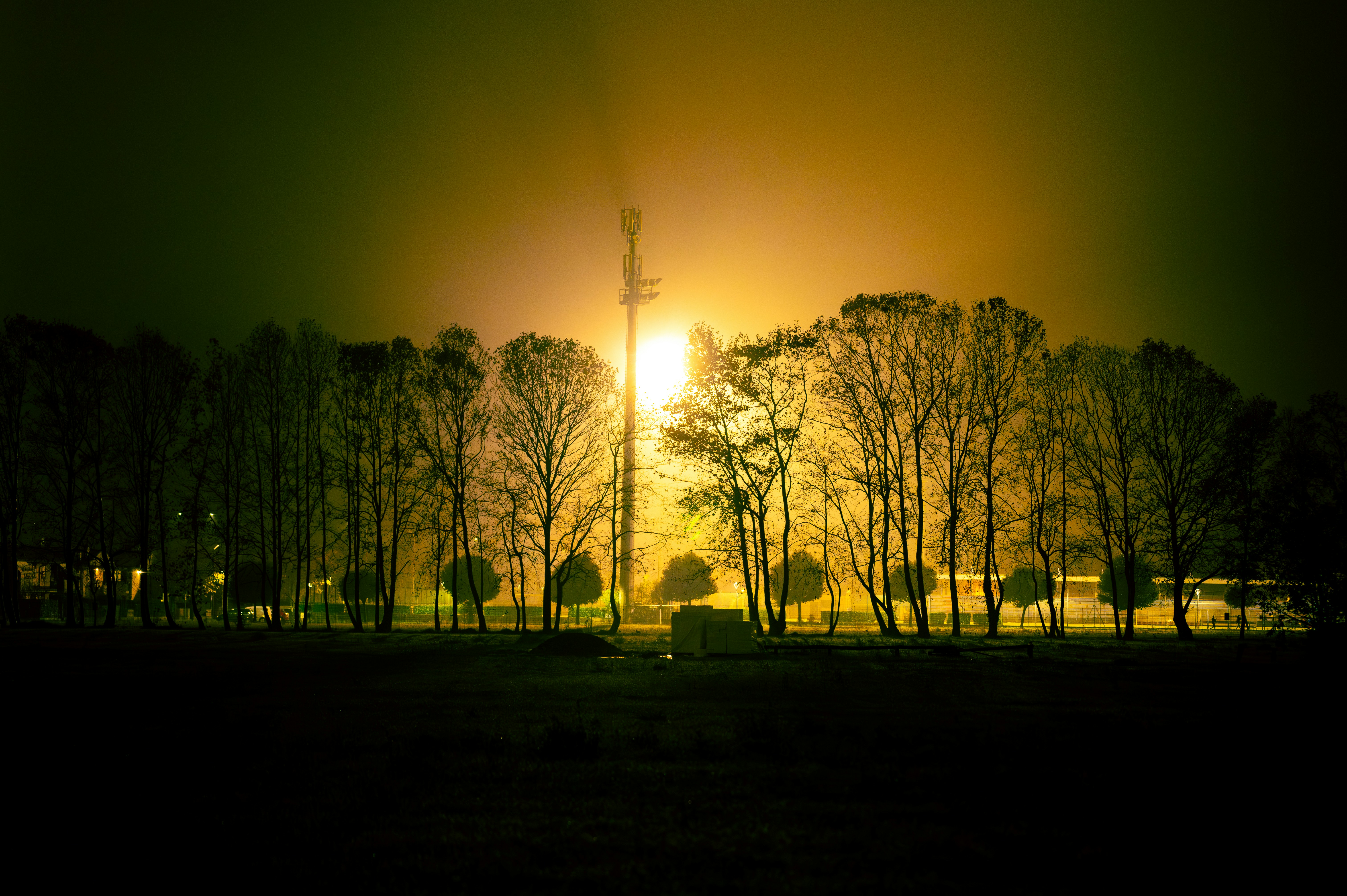 Halo over the treeline: a lone light pierces fog on an empty field