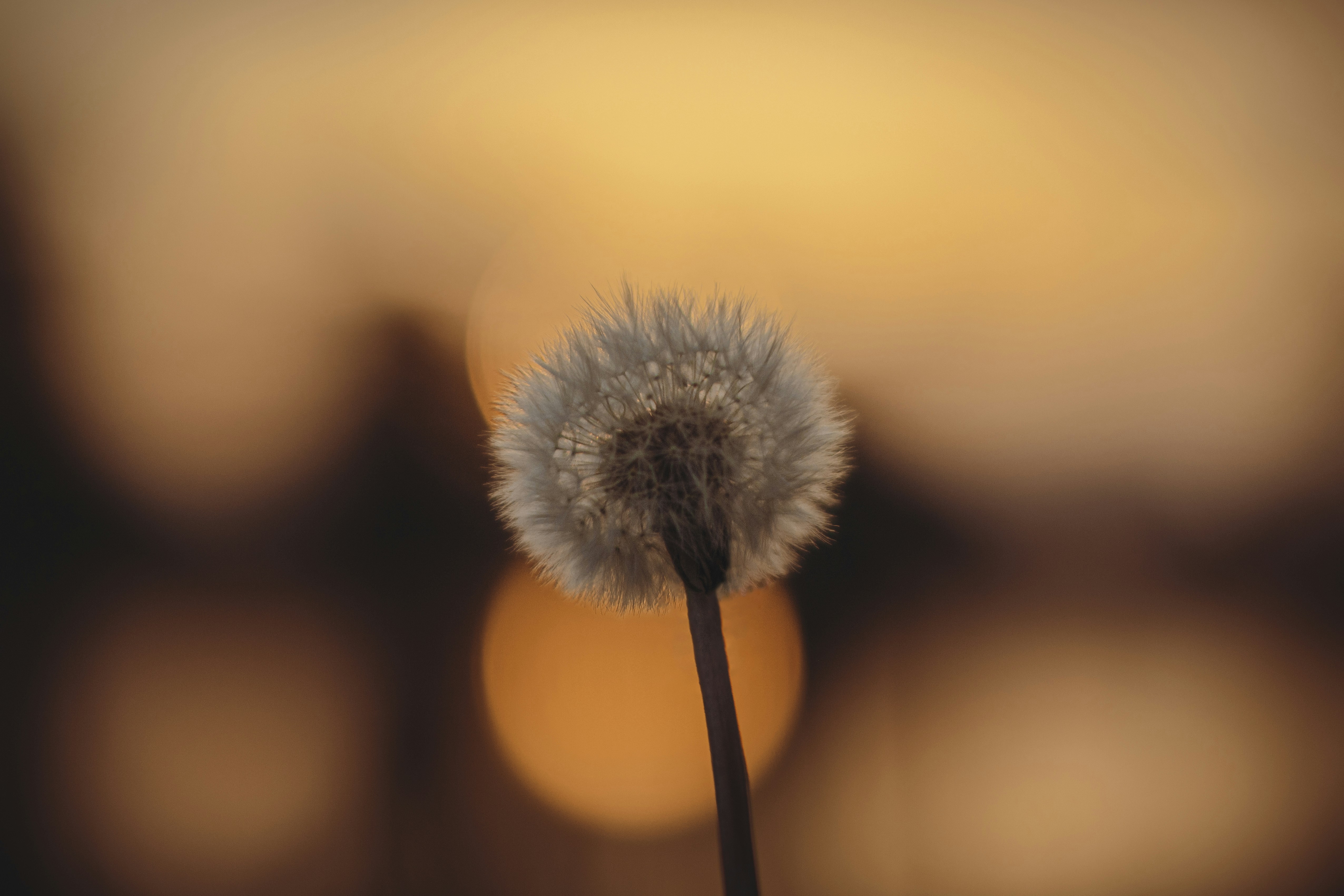 If you like my pictures, you can follow me on Instagram: @alexanderfastovets2