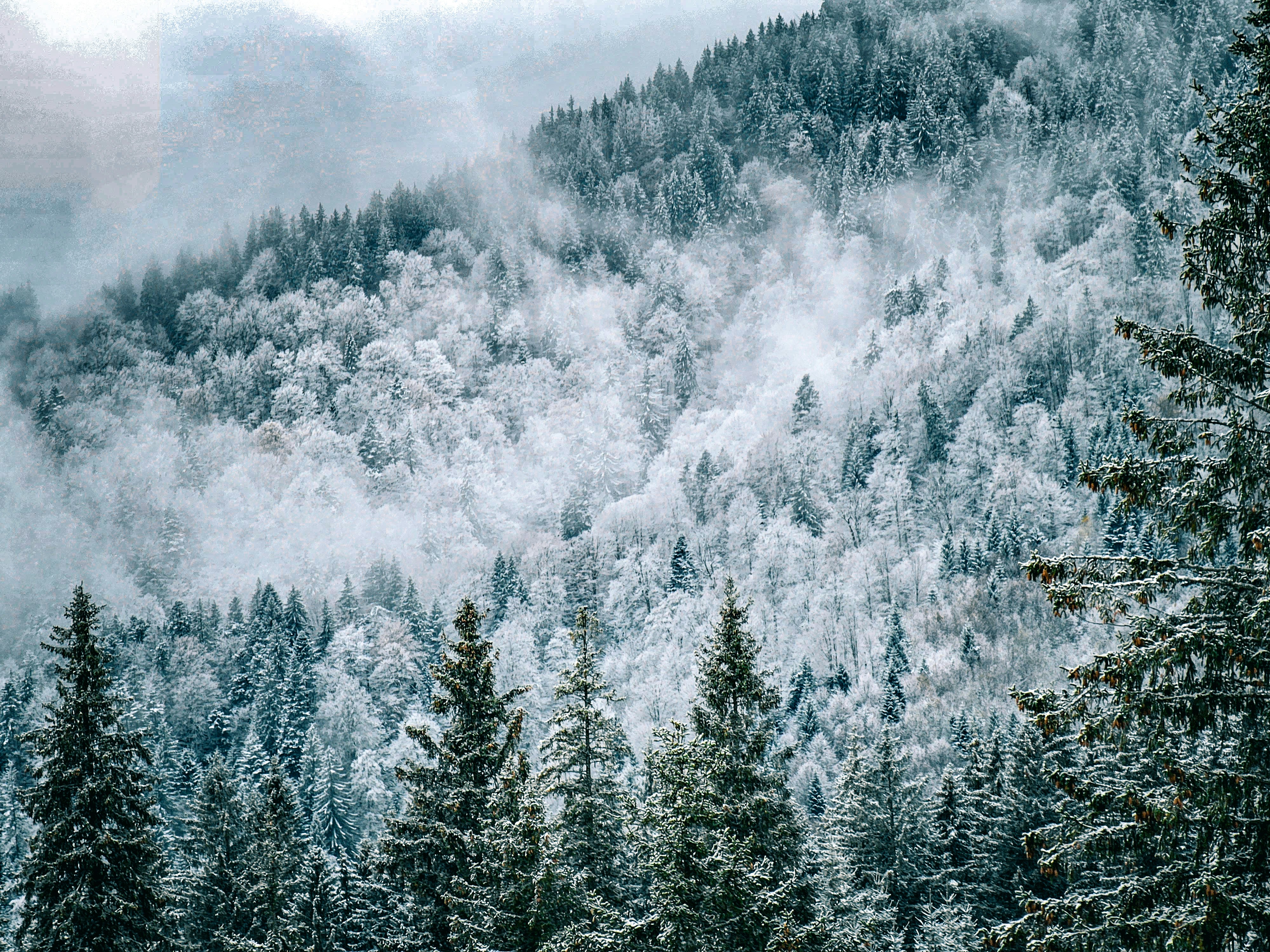 Photo by Mihai Grigore with Samsung Galaxy S23 Ultra