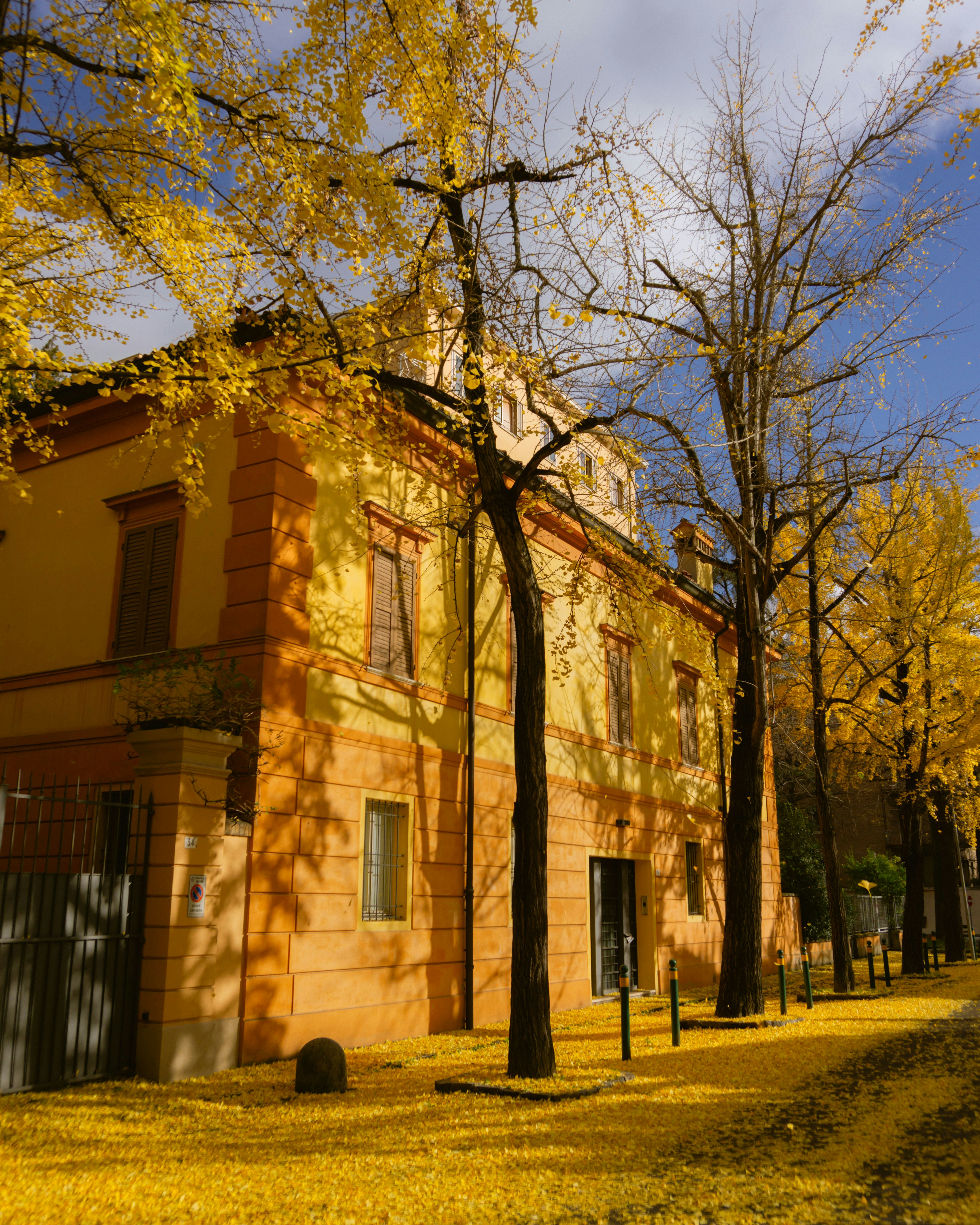 Photo by Grigorii Shcheglov with Sony Alpha 6000