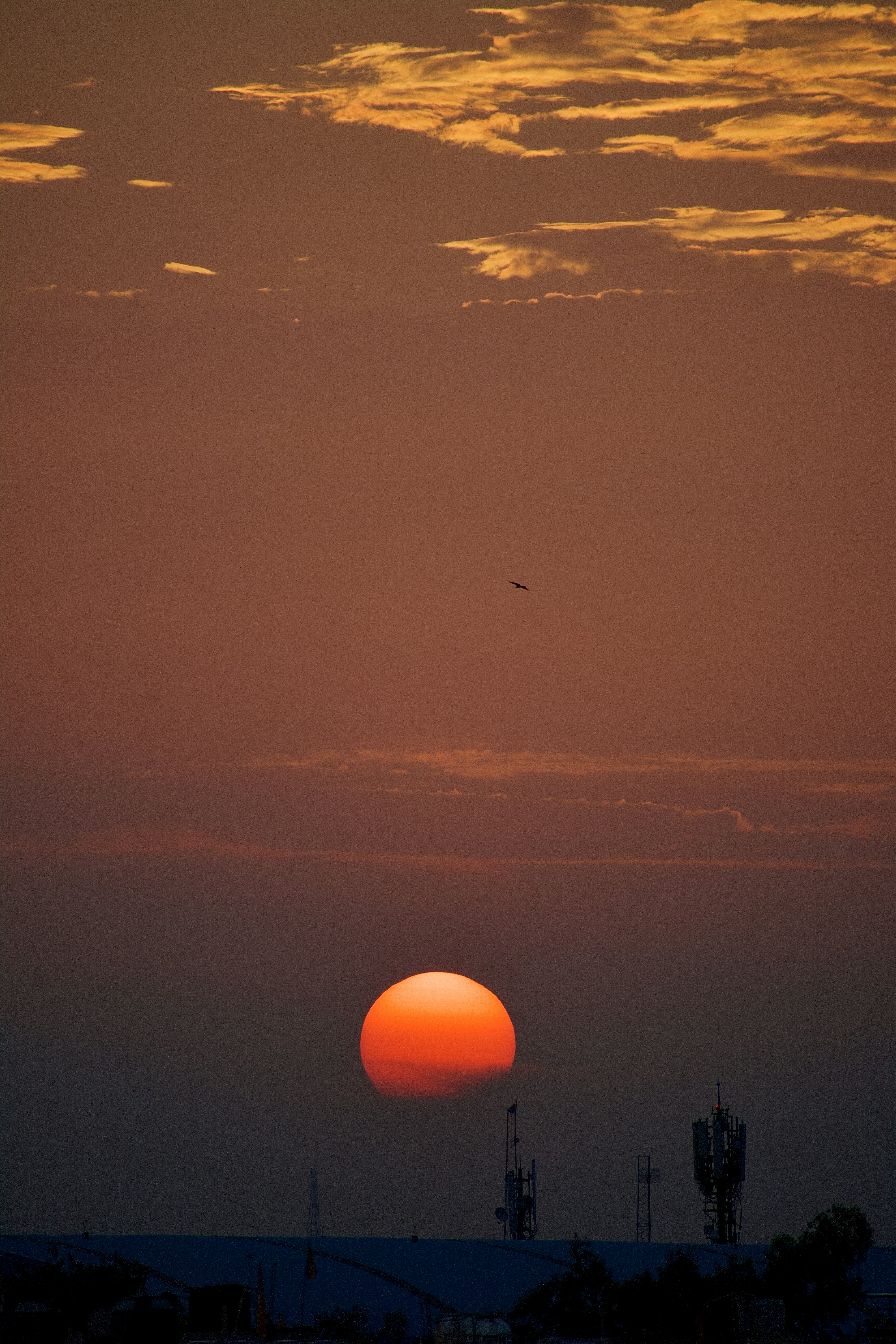 Photo by Rimjhim Agrawal with Nikon D5200