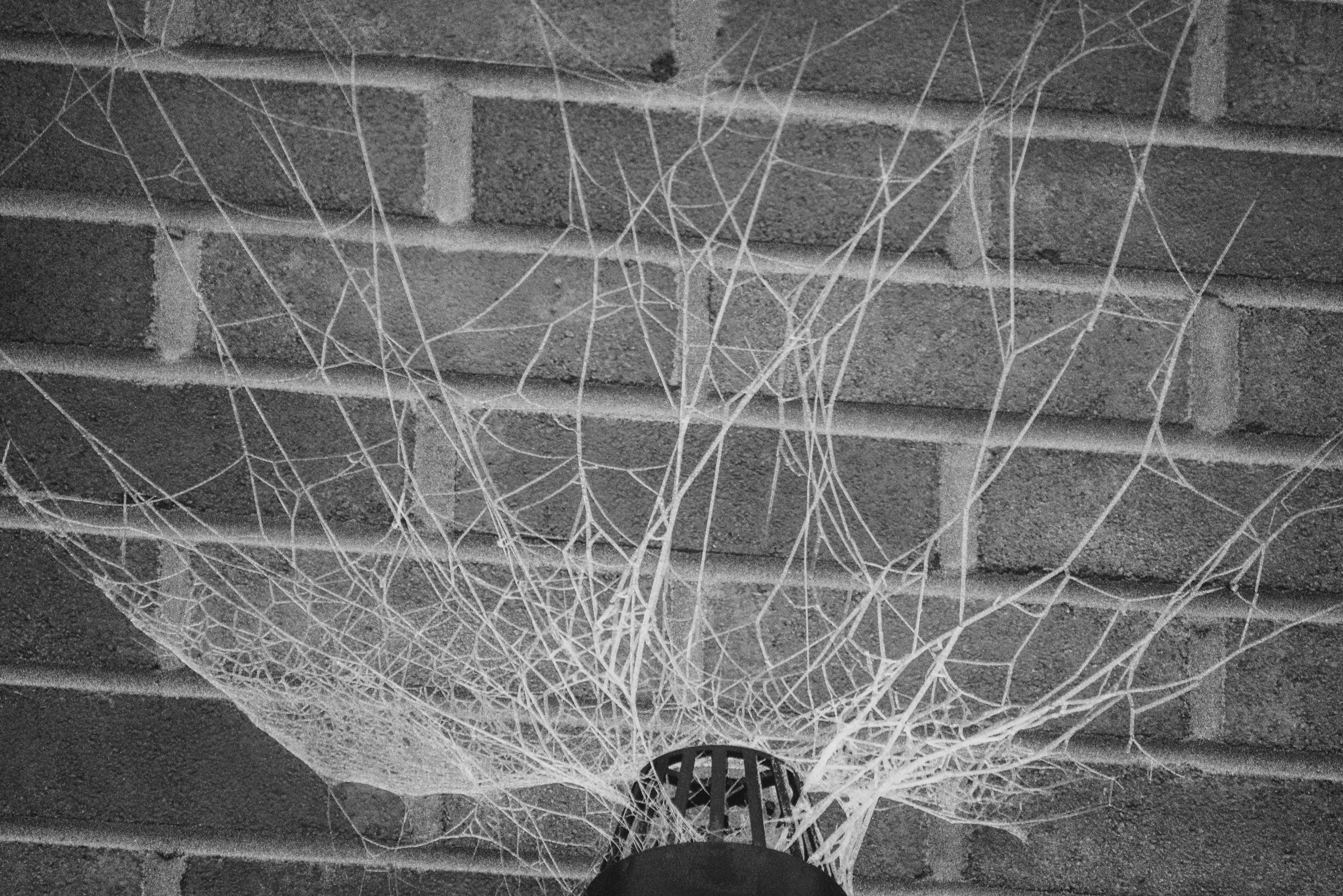 Radial Light Web Emerges from a Central Hub Against Brick