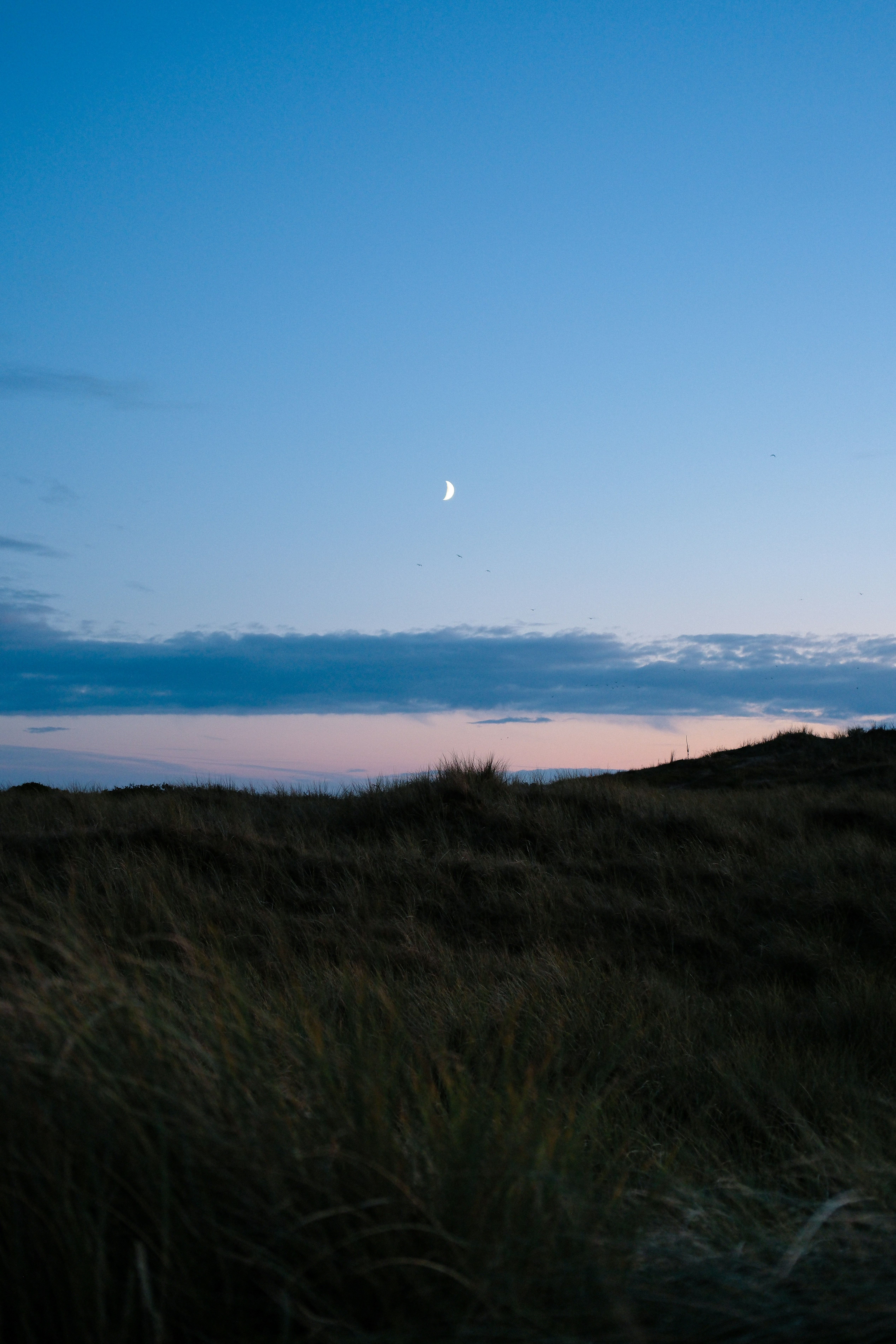 A grassy field with a moon in the sky photo – Free Blue Image on Unsplash