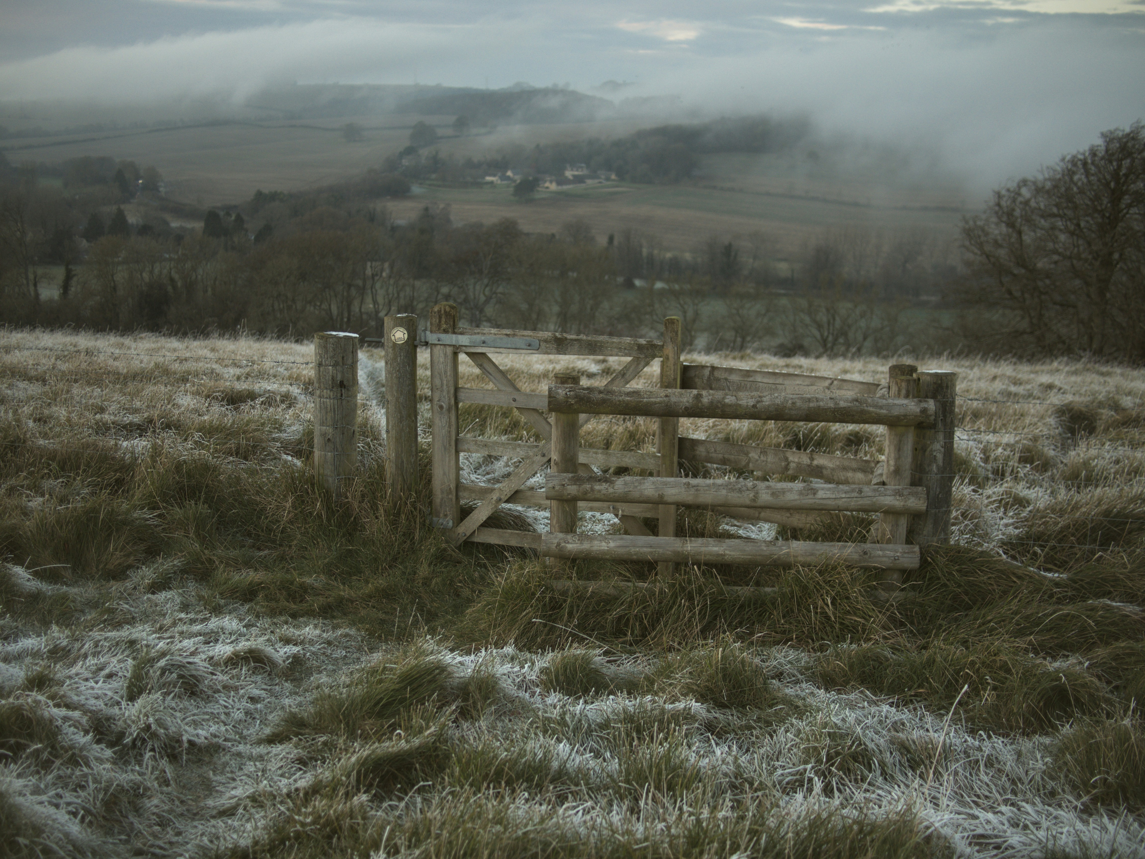 Frost-Speckled Gate at Dawn on a Misty Hill Farm