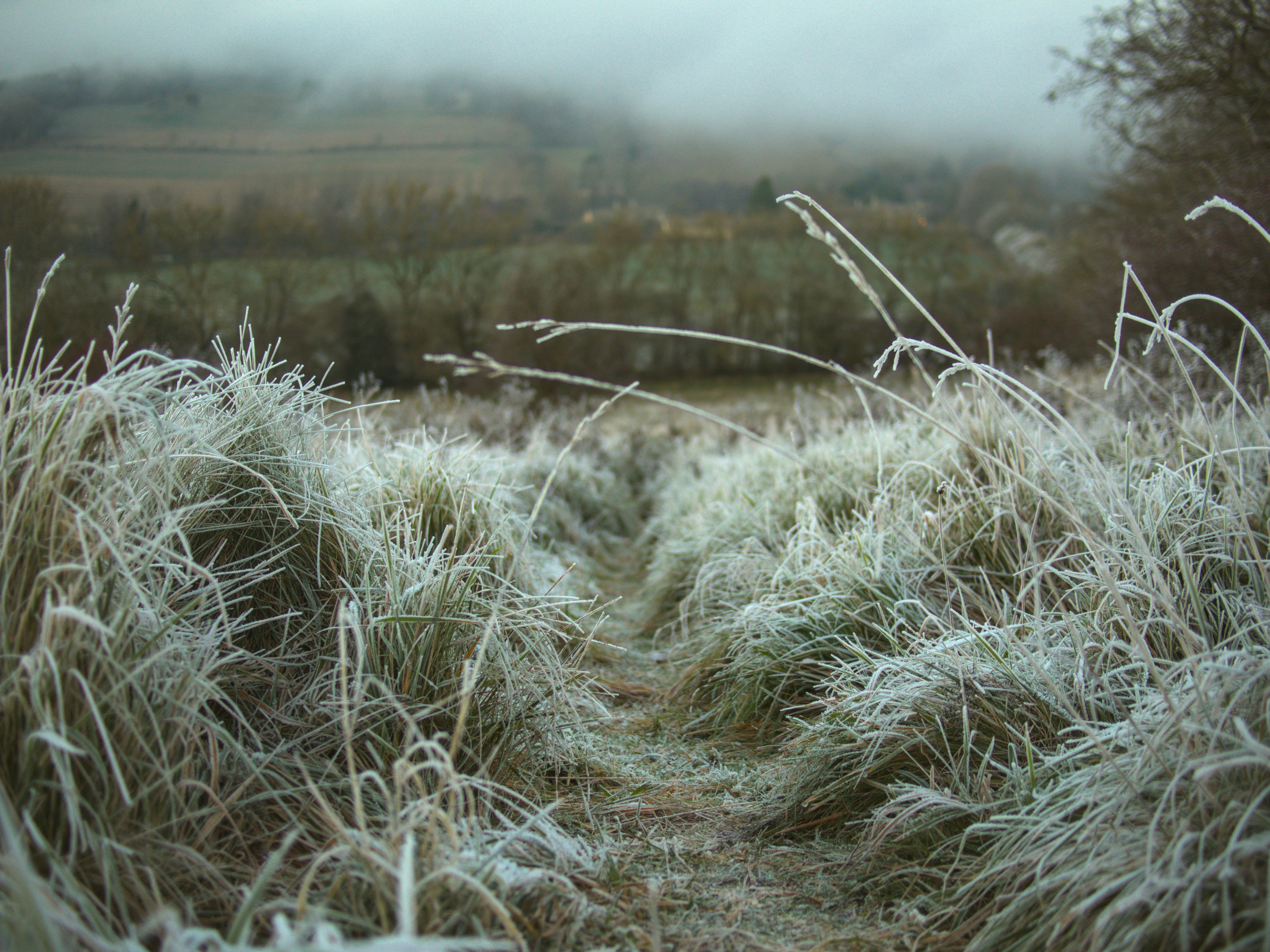 Frosty Footpath Through Velvet Towfields