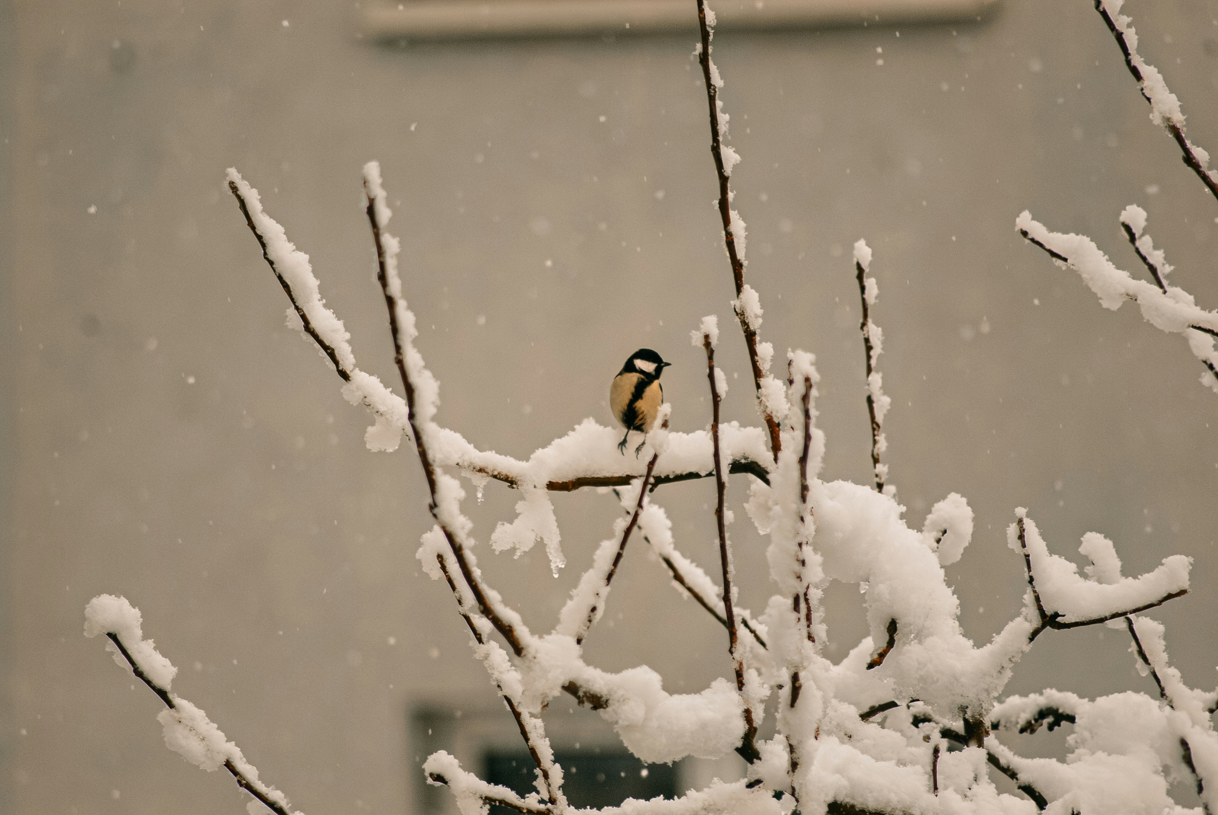 Photo by Daniele M with Nikon D60