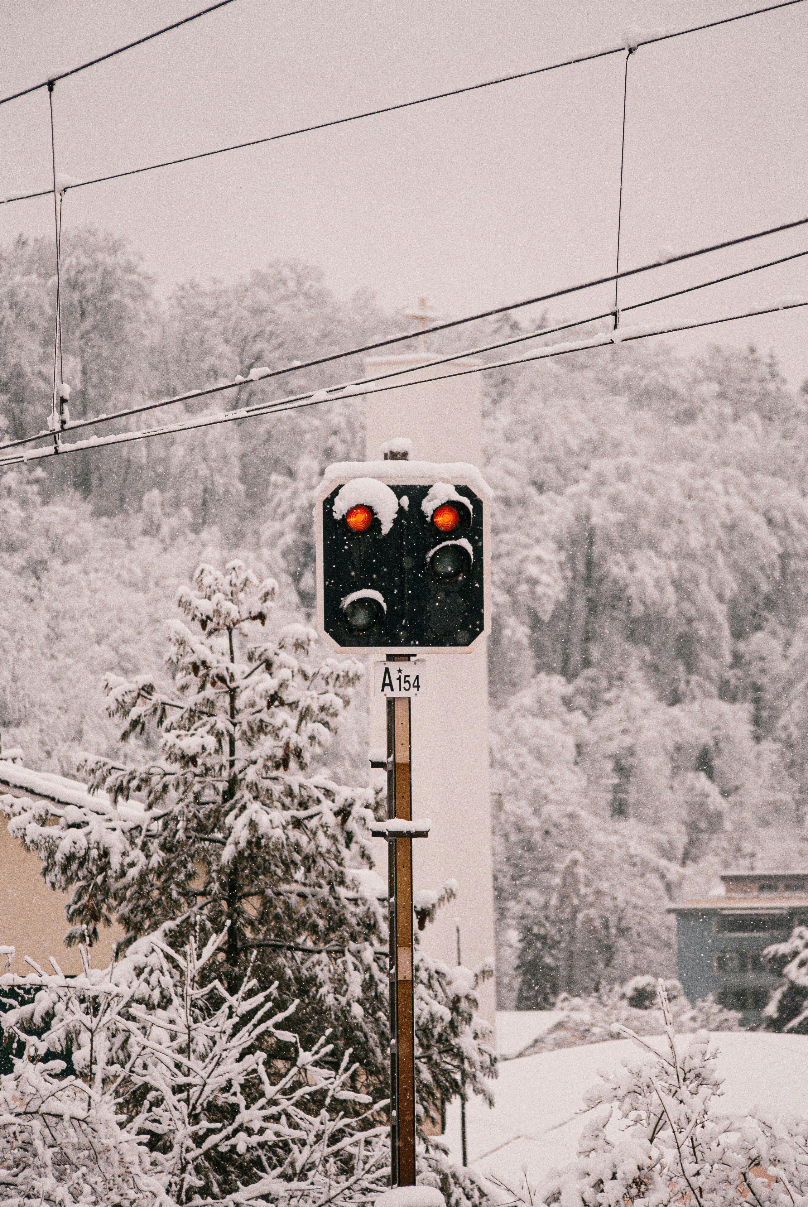 Photo by Daniele M with Nikon D60