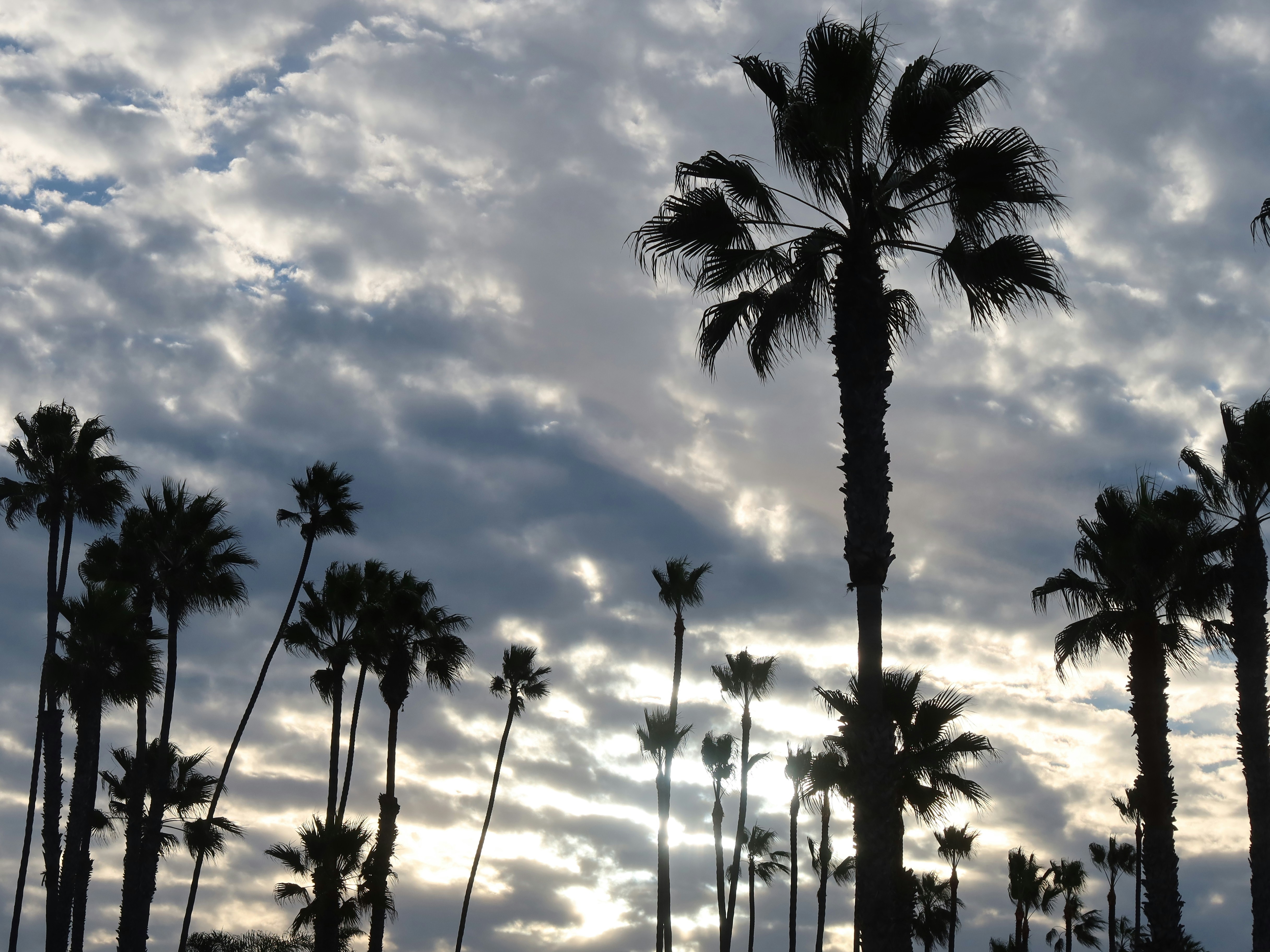 Photo by Ann with Canon PowerShot G5 X Mark II