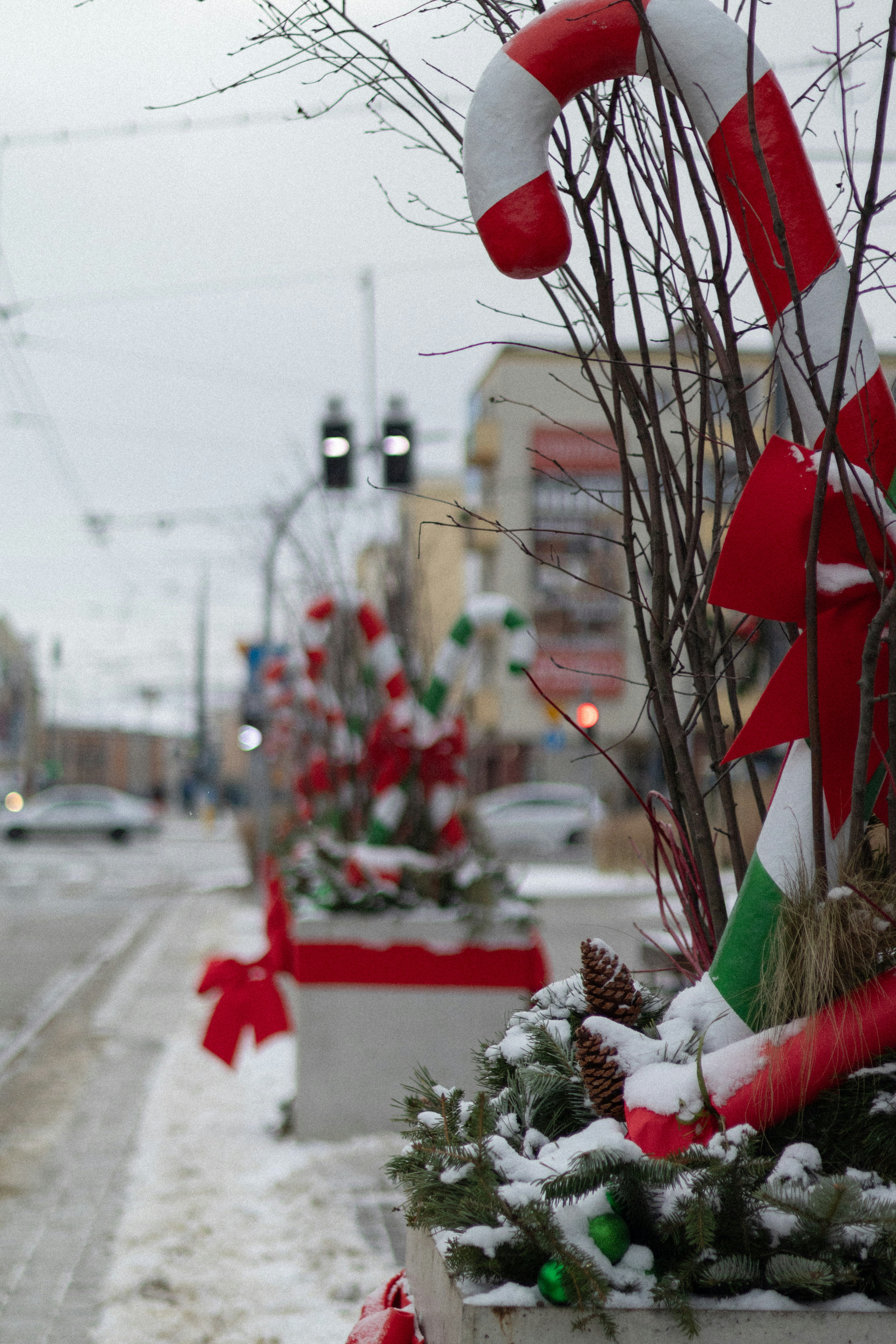 Candy Cane Avenue: Street Decor Framing a Winter Moment