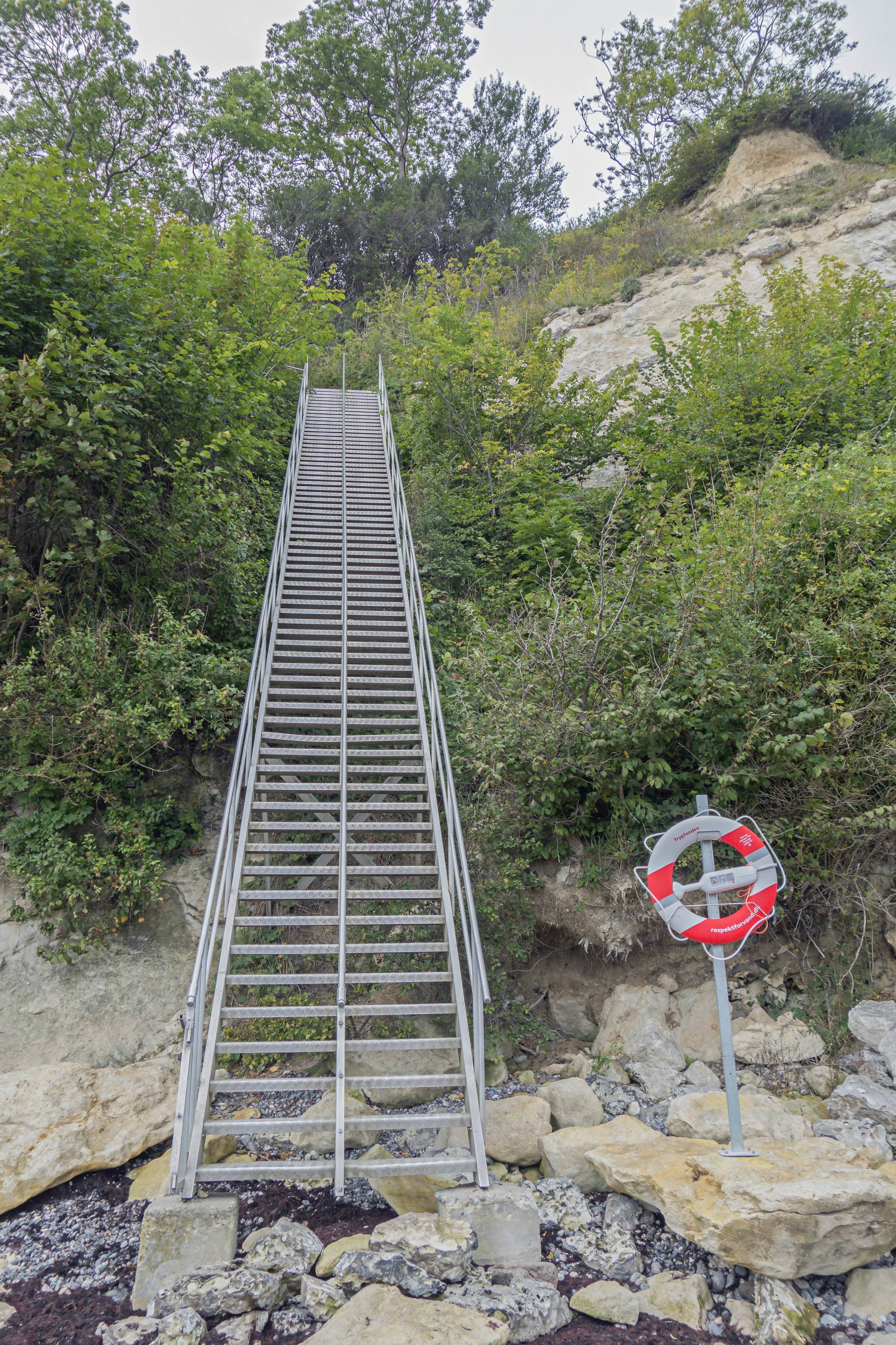 Canopy Ascent: Steel Staircase Climbing Toward a Forested Cliff, with a Red Lifebuoy