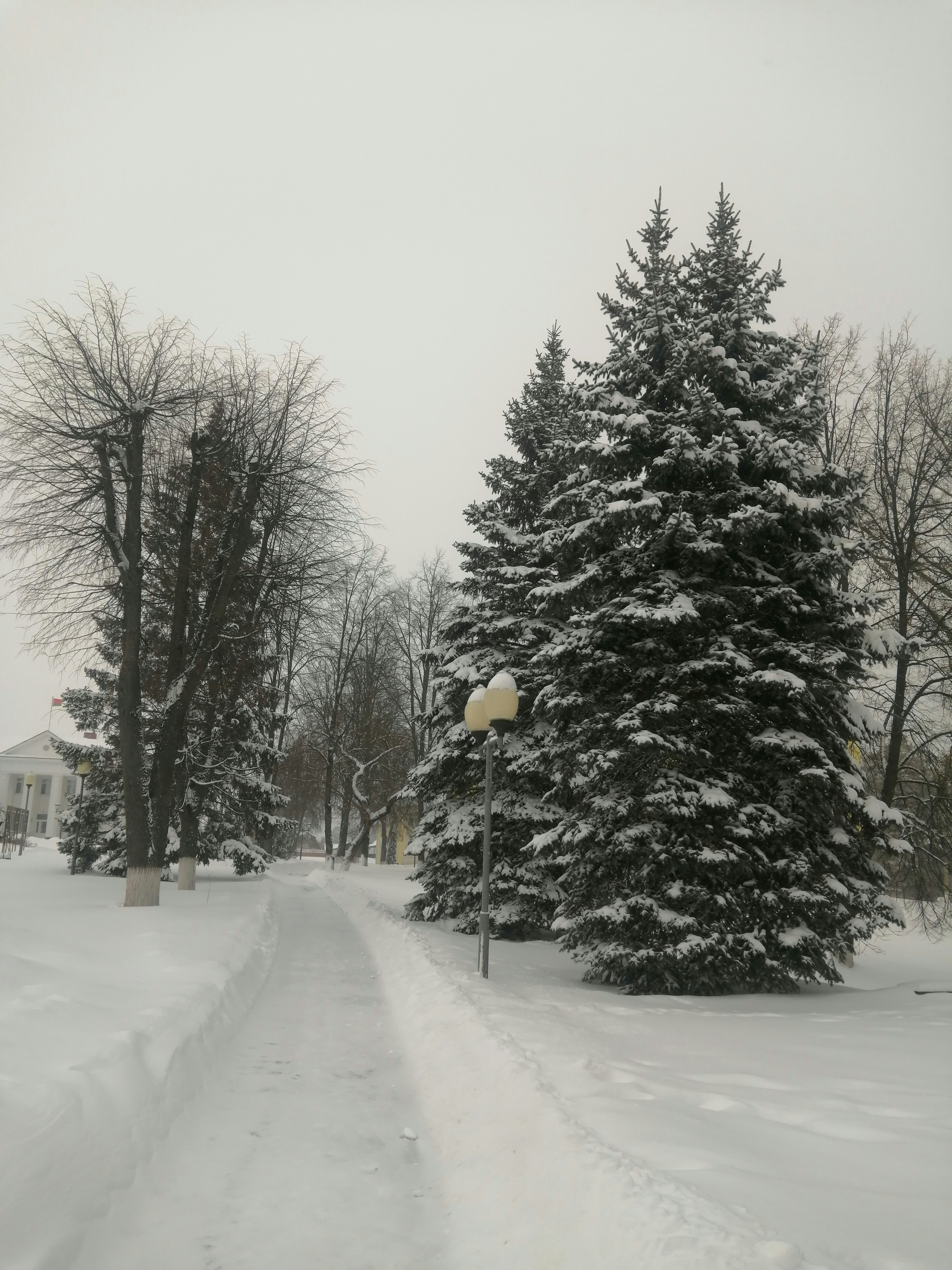 Photo by Irina Spotkai with Huawei P30 Lite