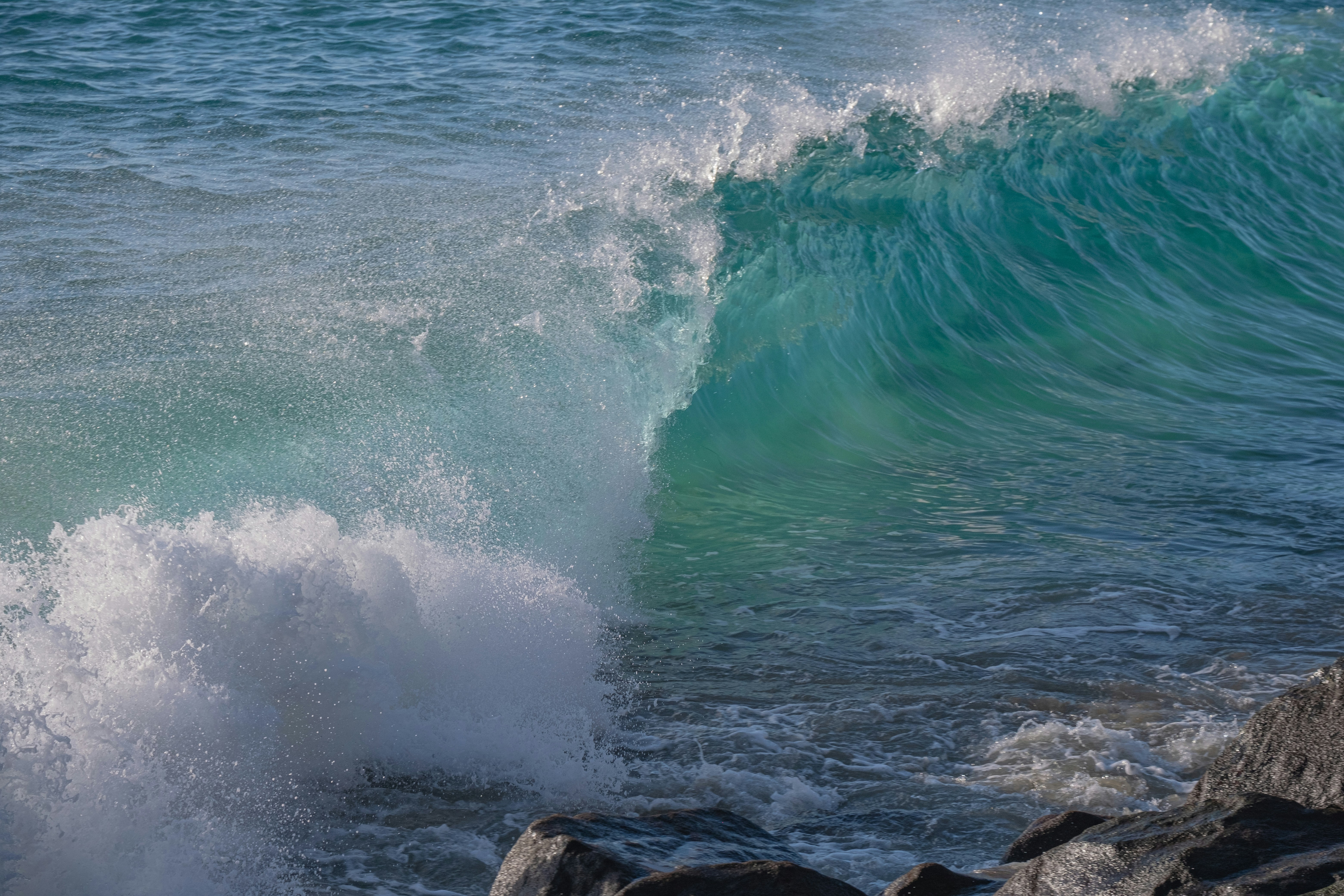 A person surfing on a wave in the ocean photo – Free Sea Image on Unsplash
