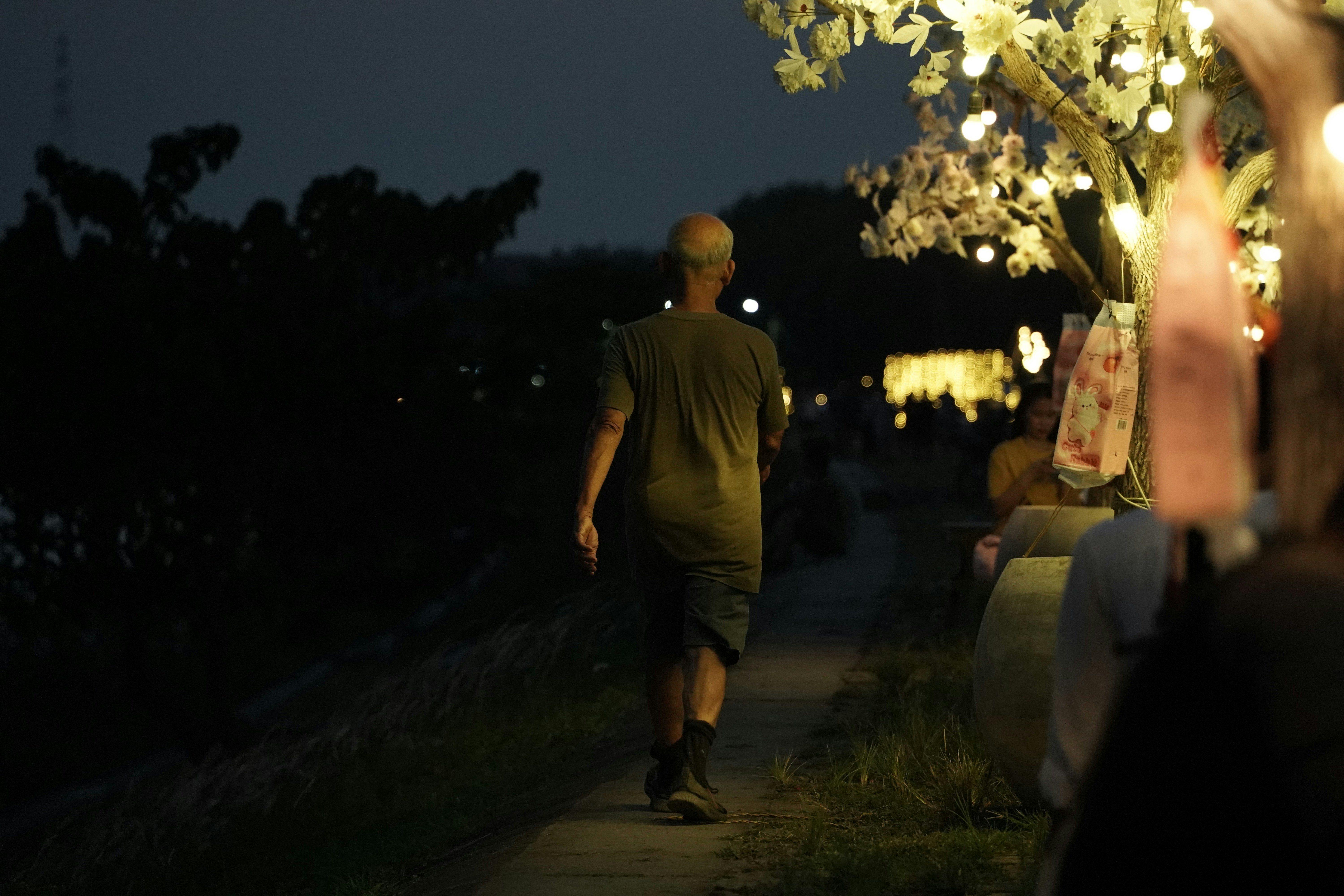 Lone Wanderer Beneath Lantern-Lit Riverside Path