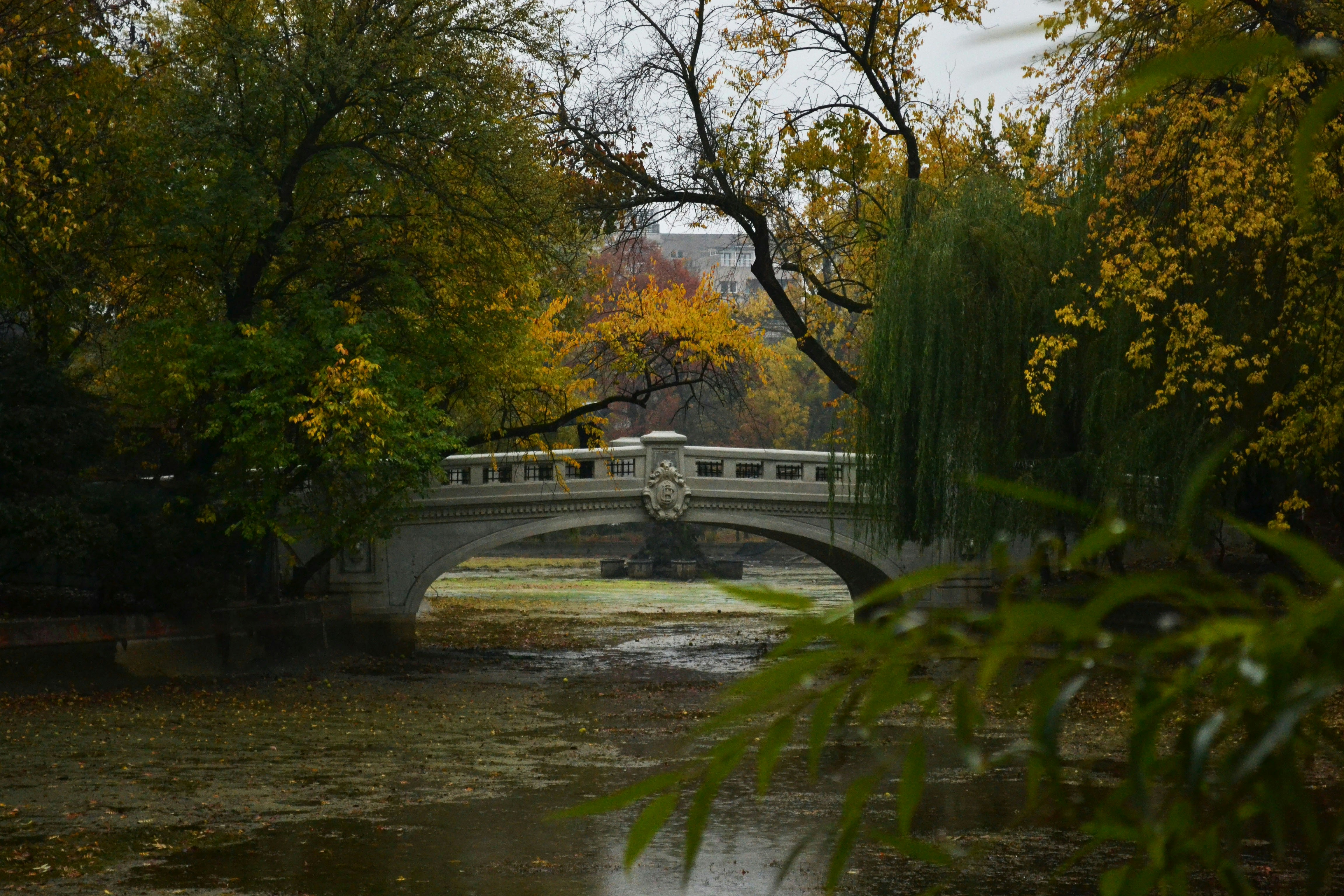 Stone bridge spans a tranquil river surrounded by vibrant autumn foliage.