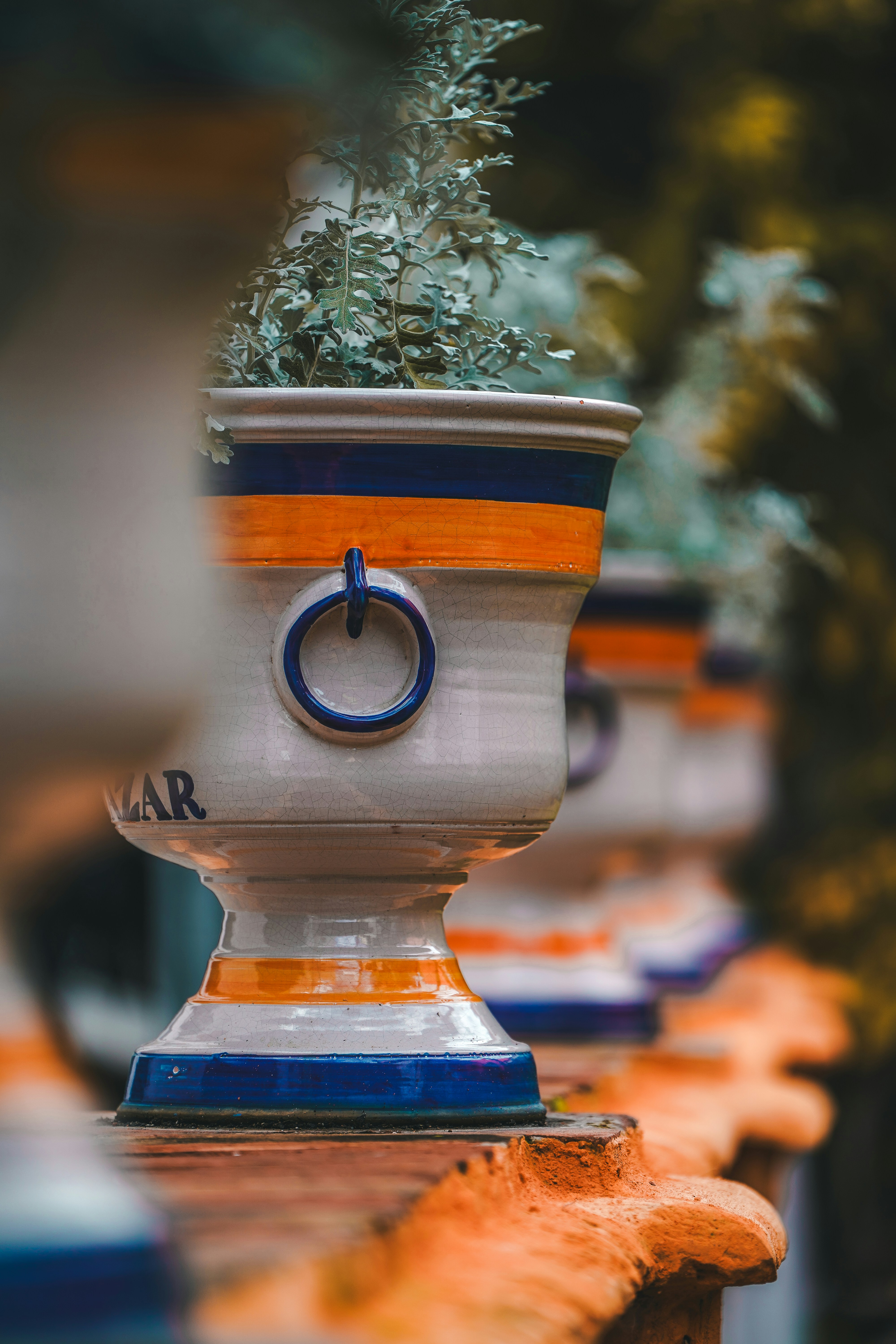 Stripe-Glazed Planter Ring: A Focused Moment in a Row of Pots