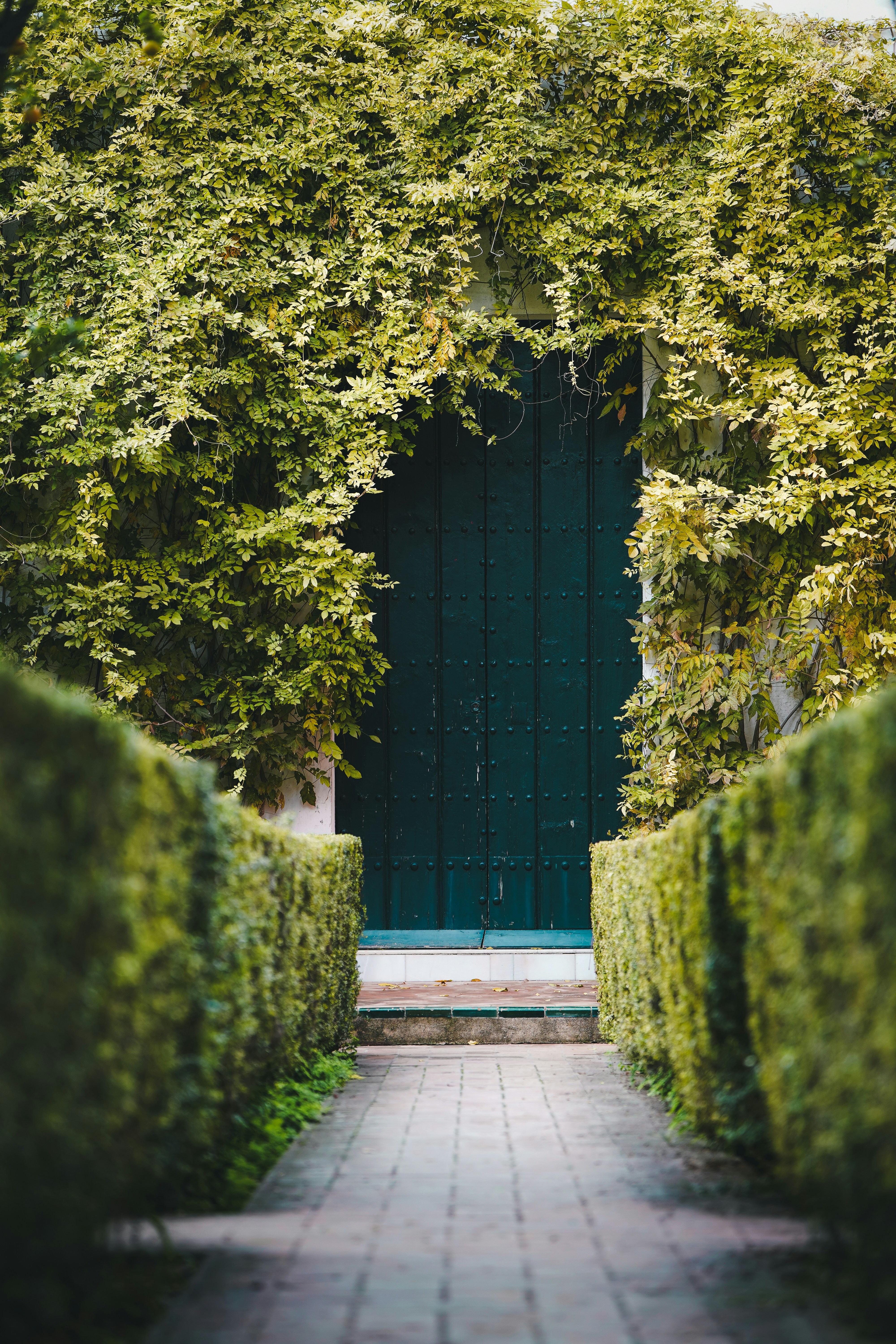 Photo by Kevin Charit with Sony Alpha 7C