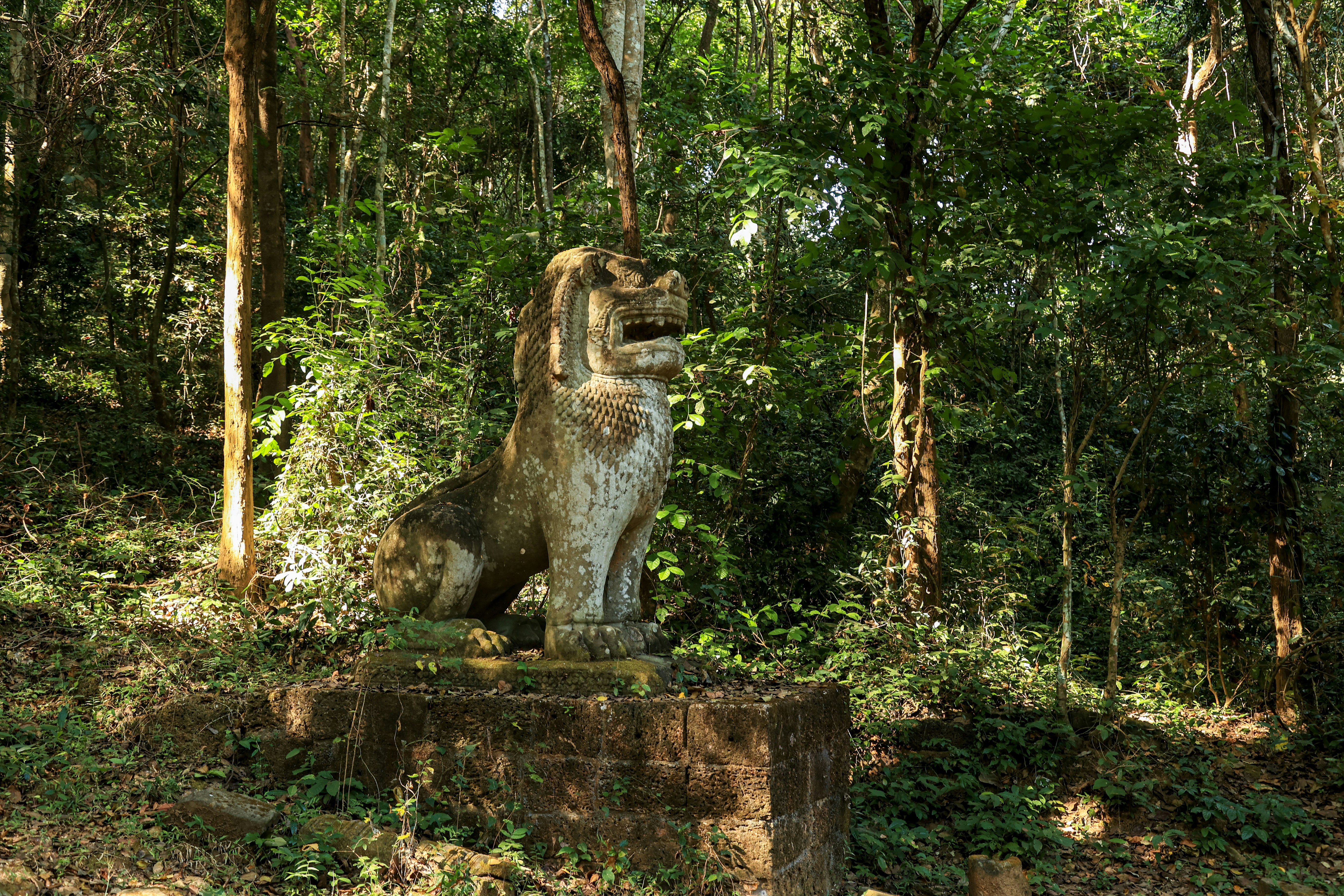 Guardians in the Wilderness - Angkor Wat Complex, Cambodia