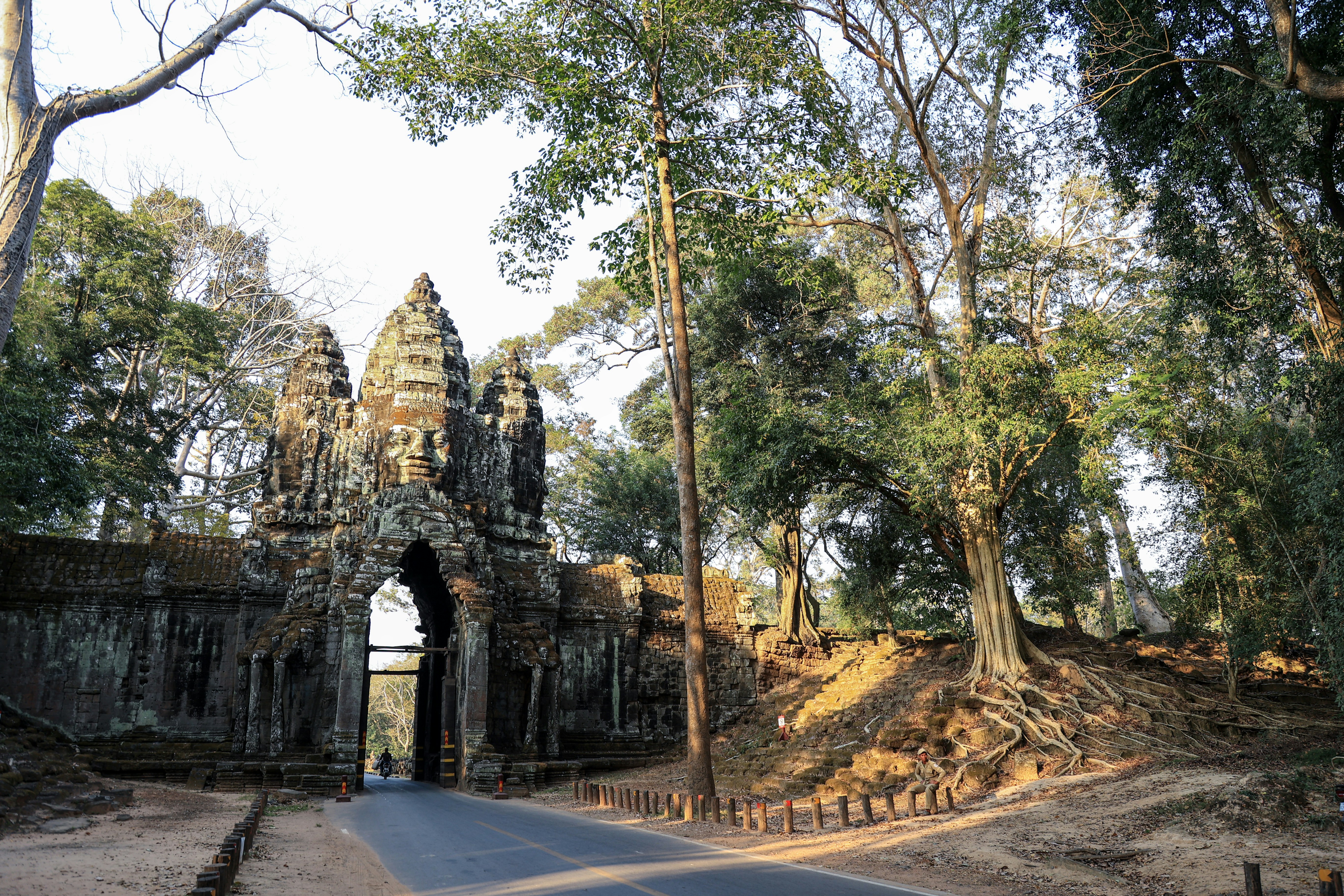 Sunlit Threshold: A Weathered Temple Gate Framed by Ancient Trees