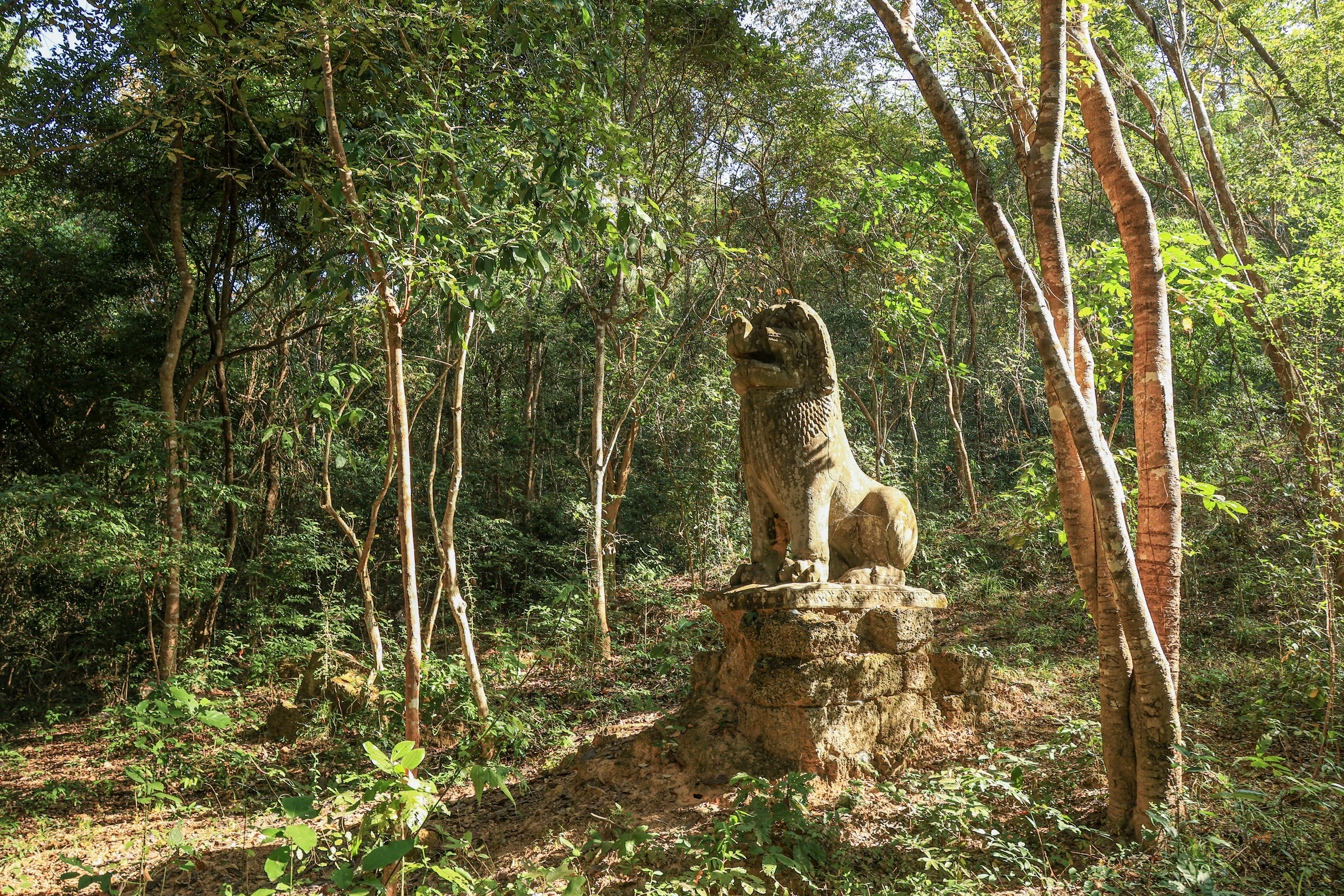 Guardians in the Wilderness - Angkor Wat Complex, Cambodia