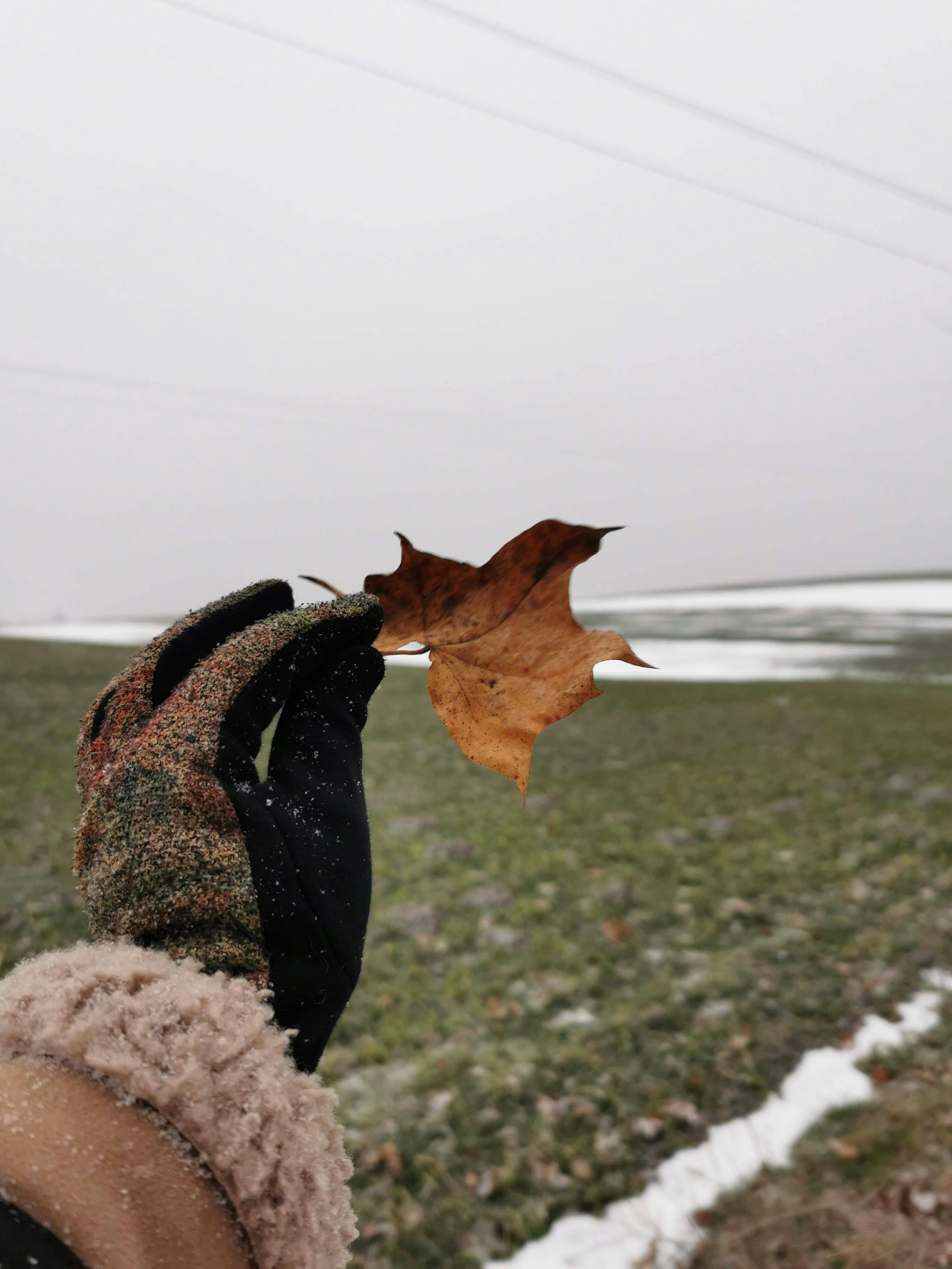 Photo by Mariia with Huawei P30 Pro