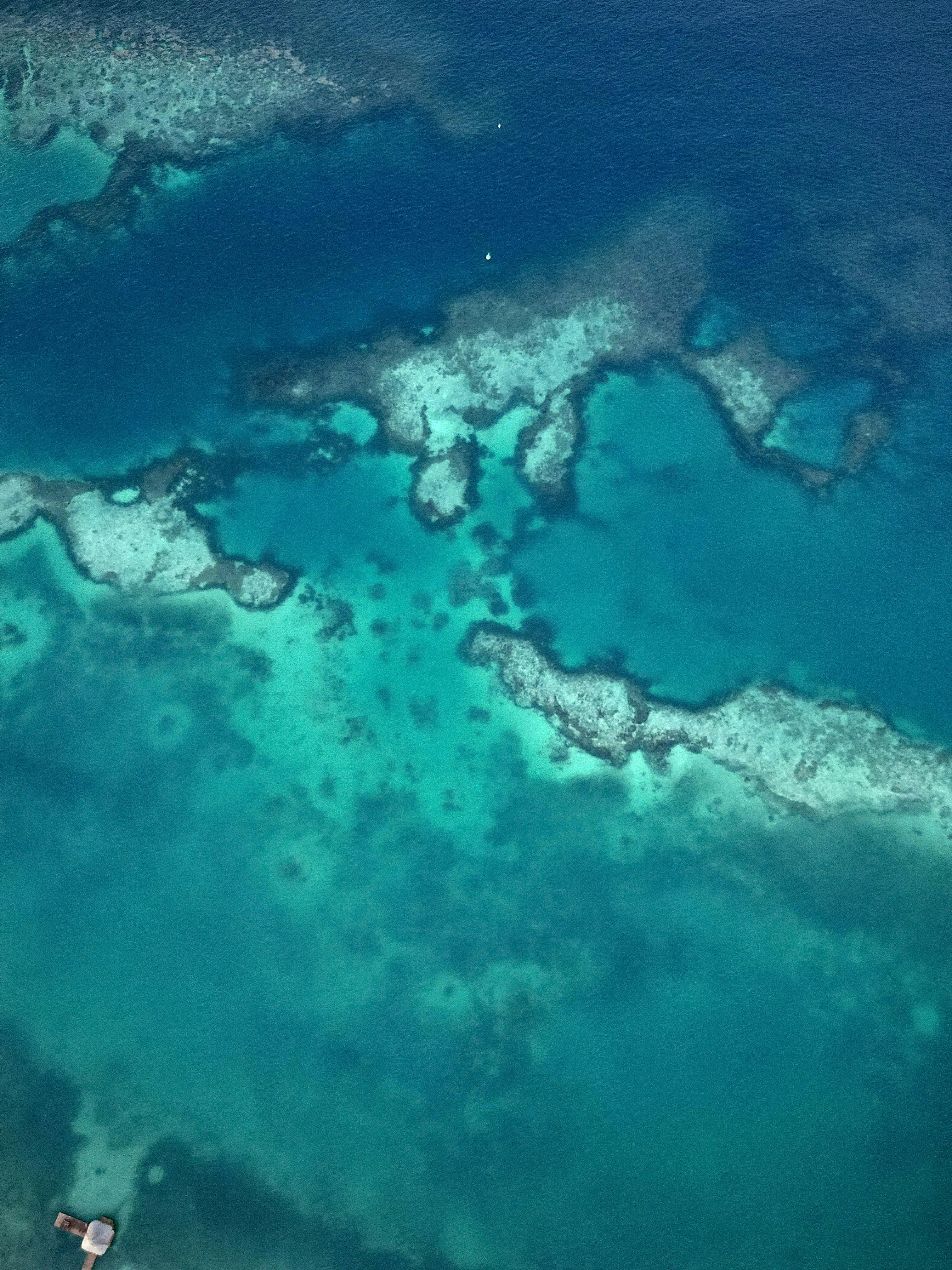 Vibrant coral formations beneath crystal-clear turquoise waters.