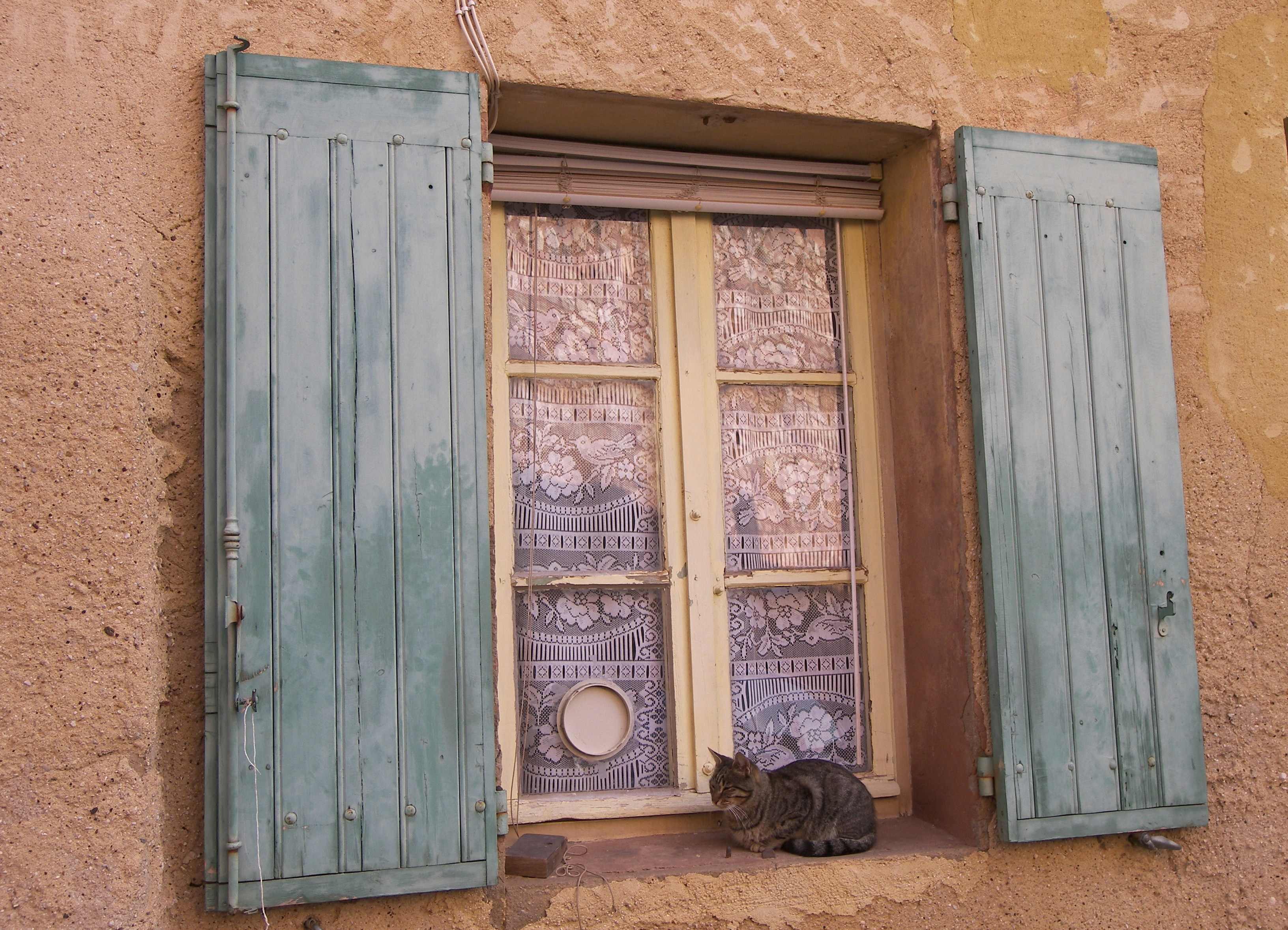 a cat sitting on a window sill next to a window