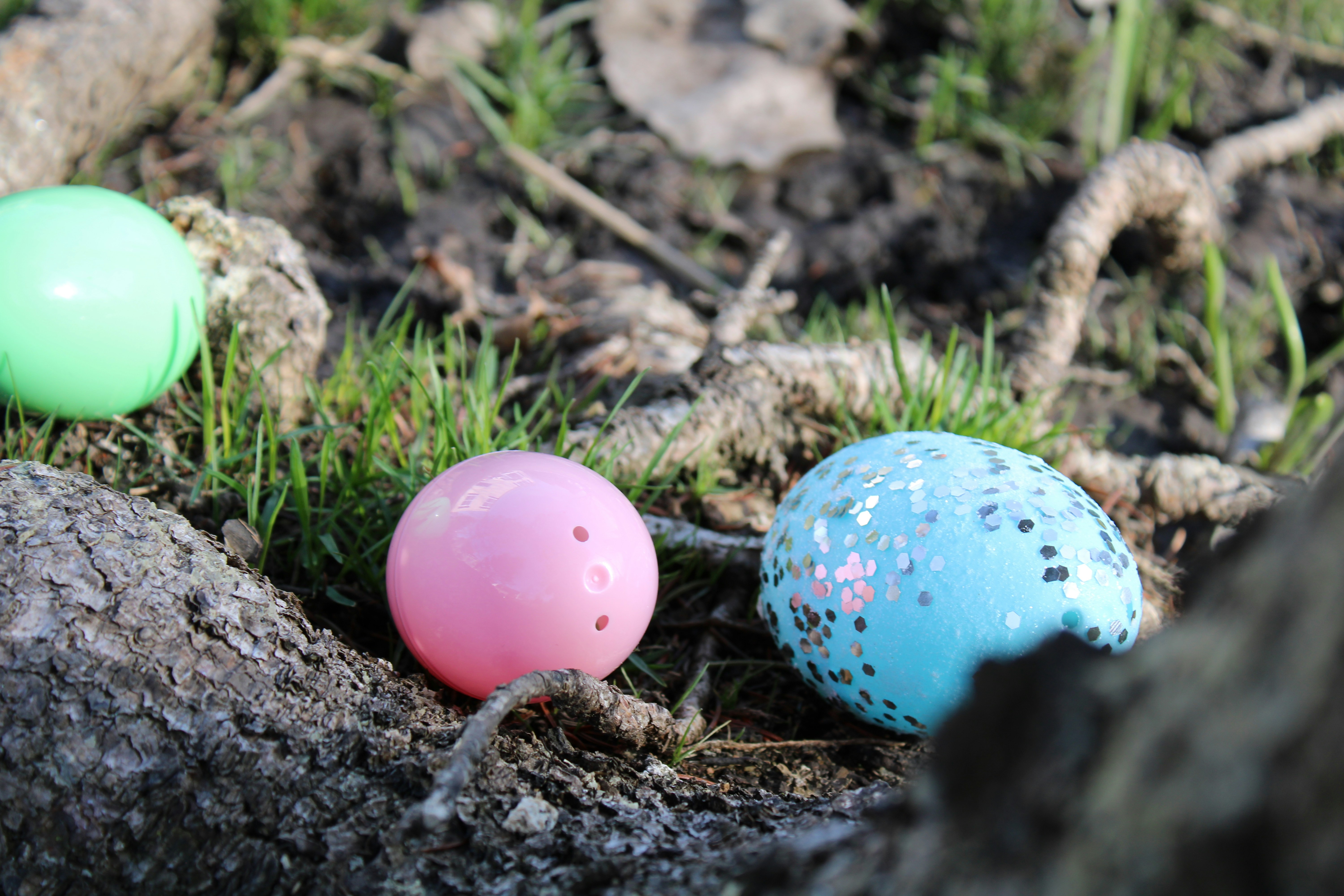Three colorful eggs are sitting on the ground photo – Free Food Image ...