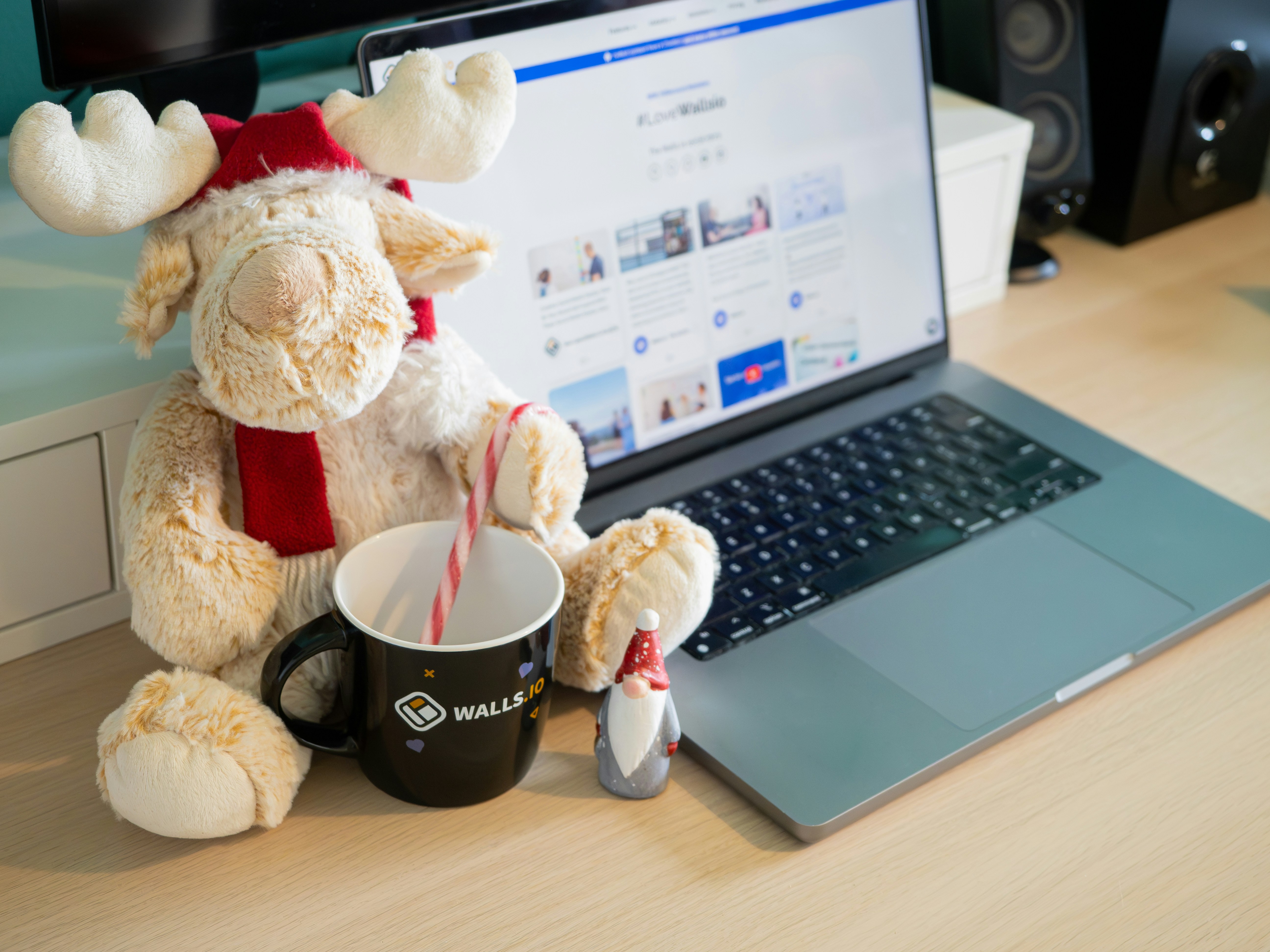 A stuffed moose sitting next to a laptop computer photo – Free Laptop ...