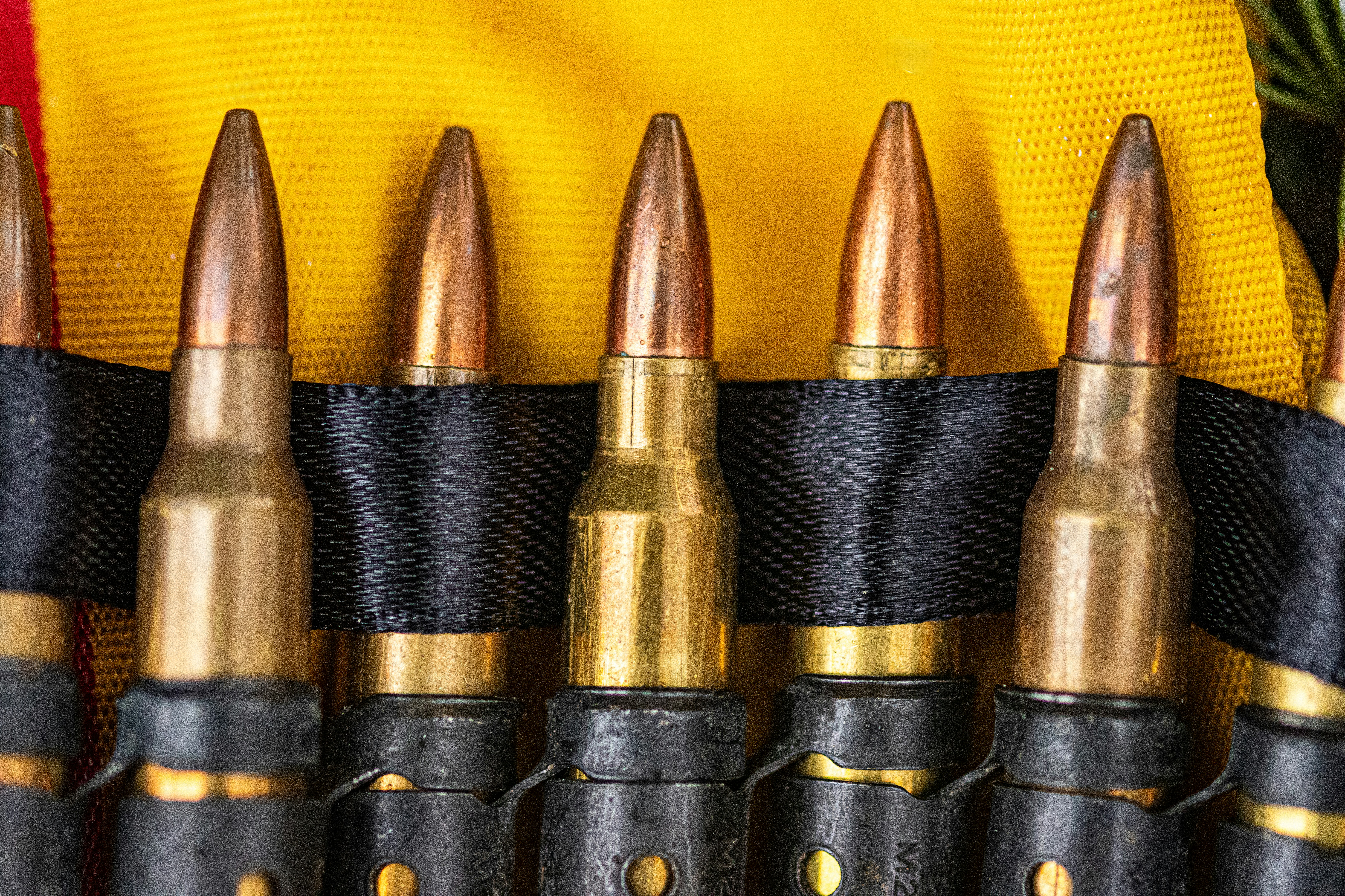 A close up of a bunch of bullet casings photo – Free Ammunition belt ...