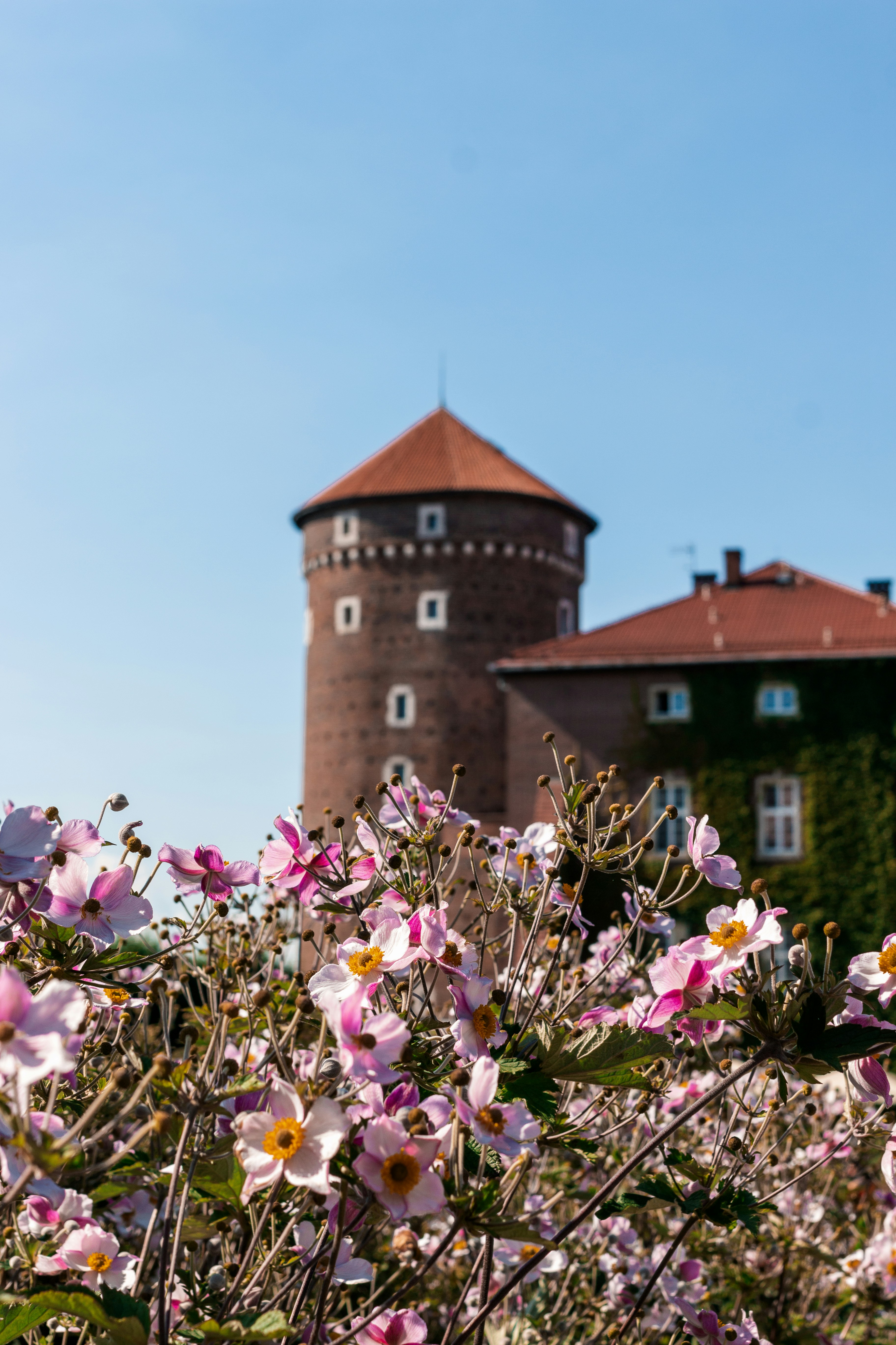 Photo by Roman Vasylovskyi with Canon EOS 70D