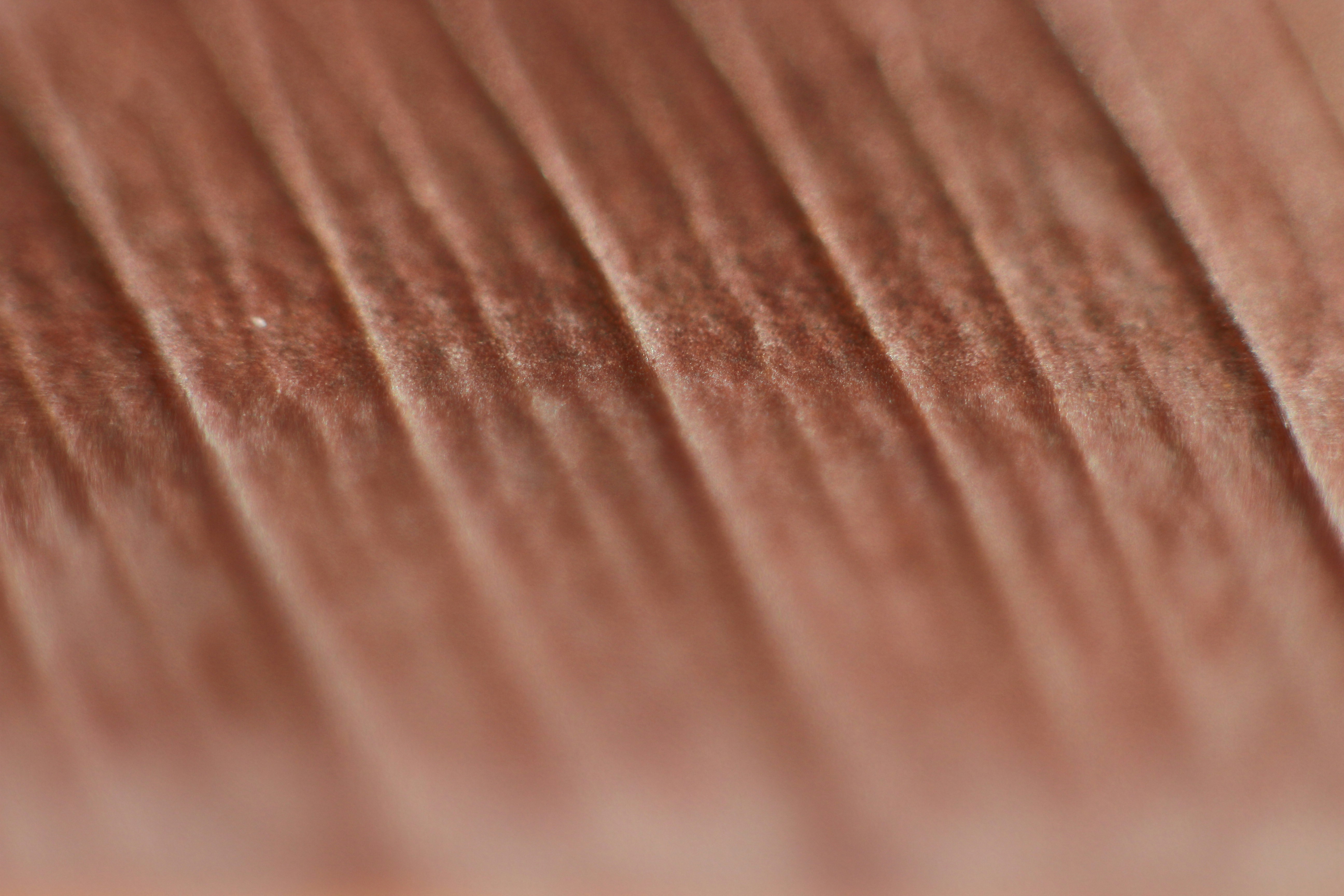 Whispered Striations: Macro Portrait of Walnut Grain and Soft Light