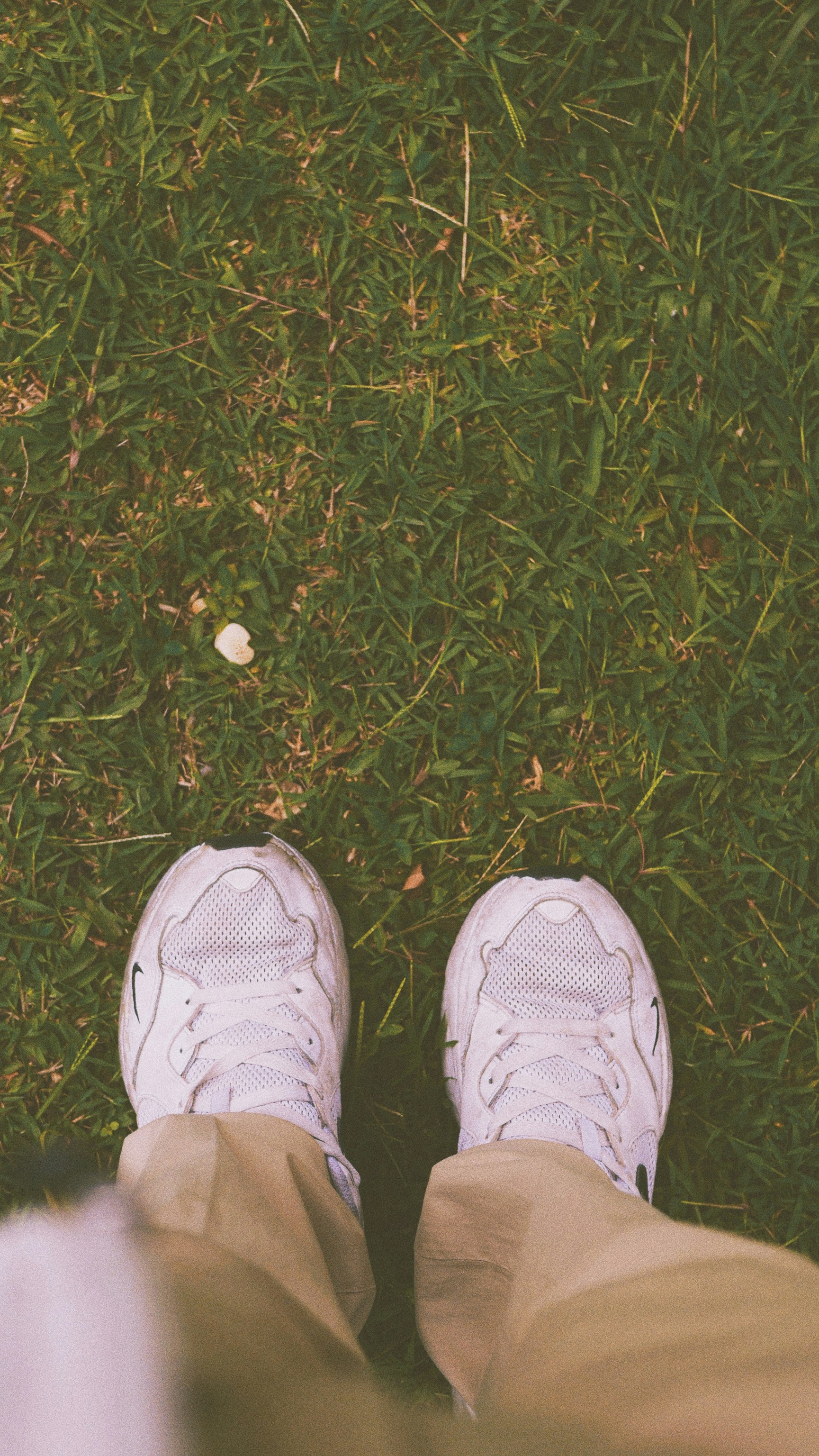 Top-down view of white sneakers standing on green grass, capturing a moment of casual outdoor activity.