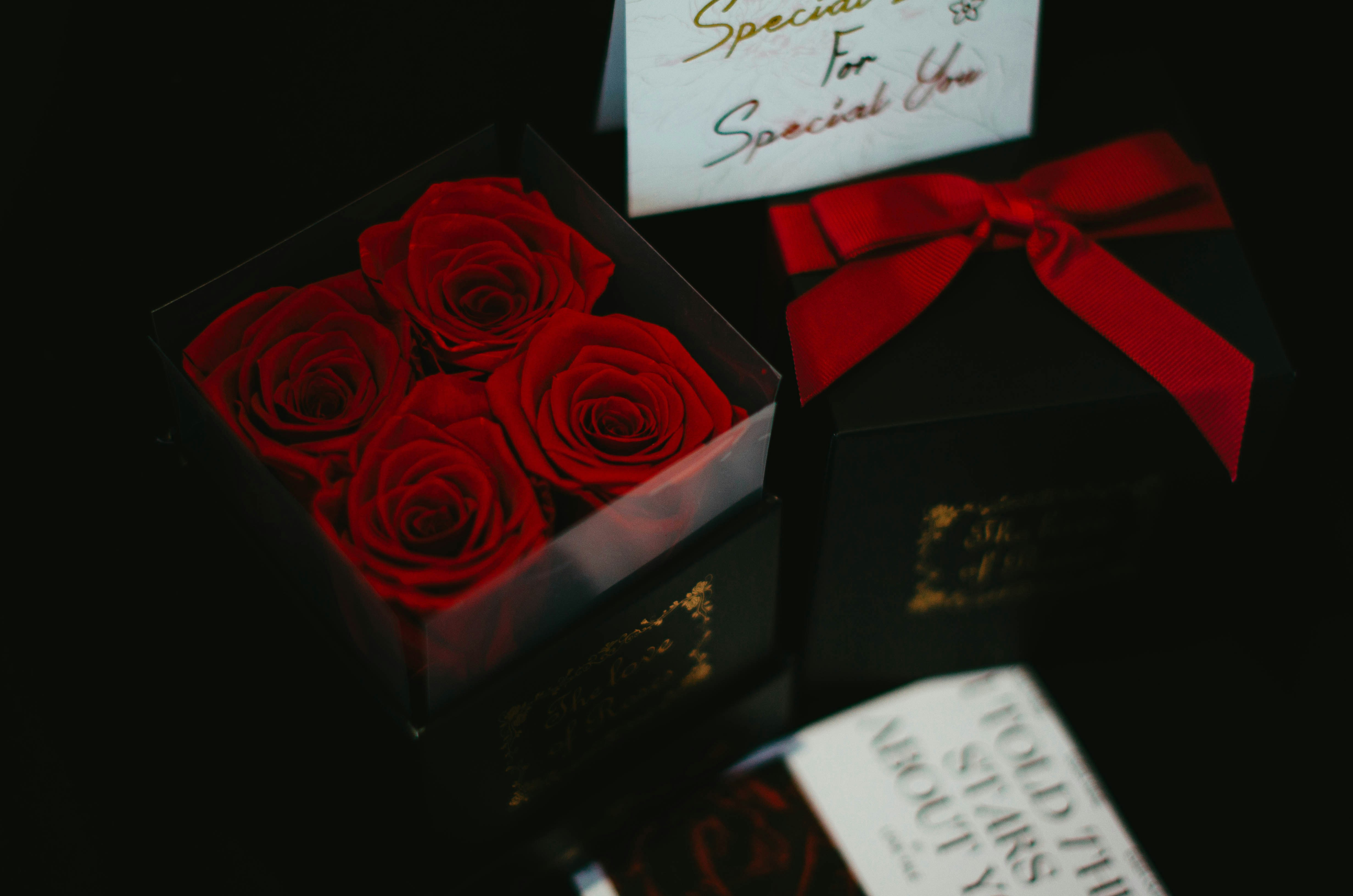 A black box with red roses in it photo – Free Flowers Image on Unsplash