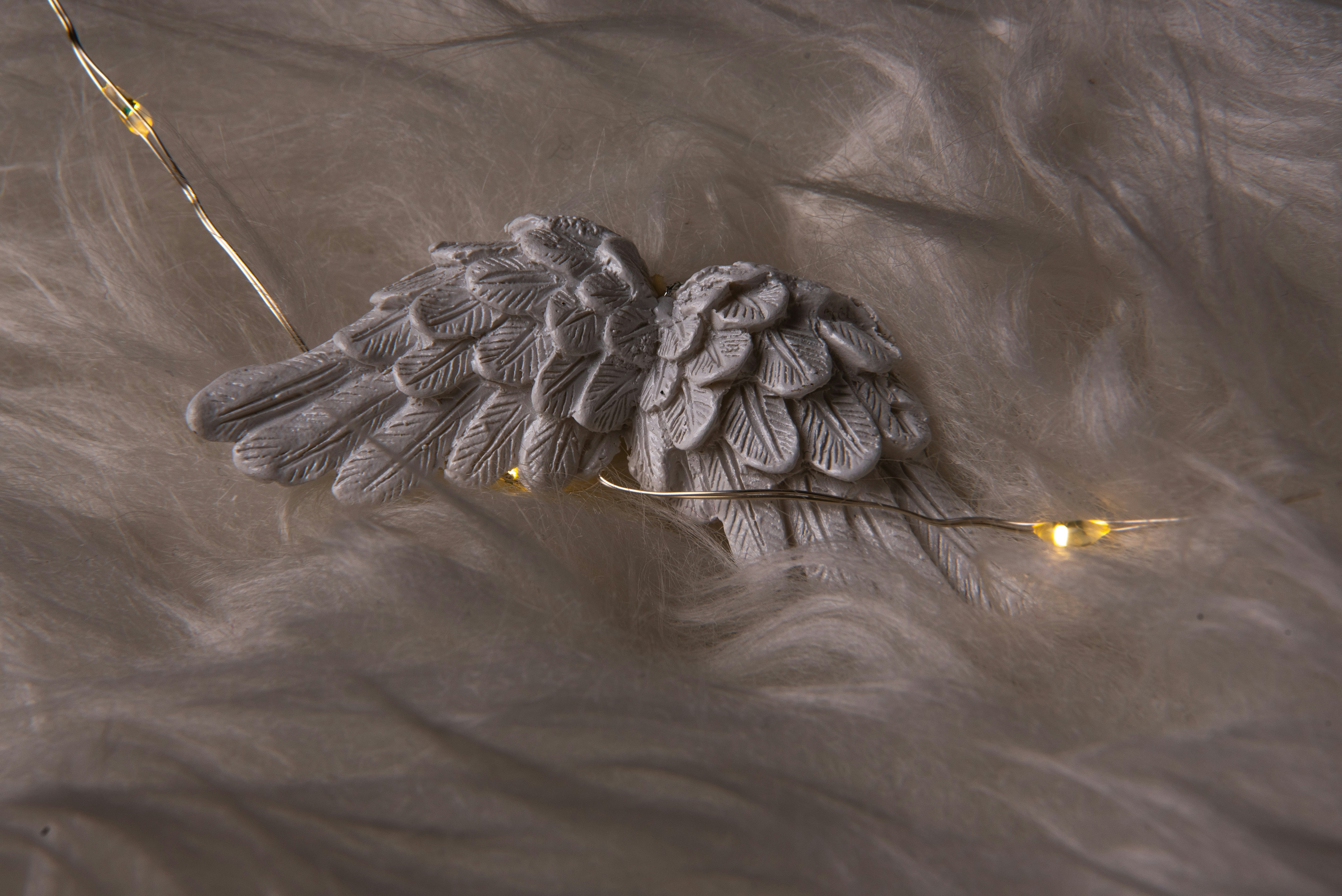 A feathered object with a stick sticking out of it photo – Free Broumov Image on Unsplash