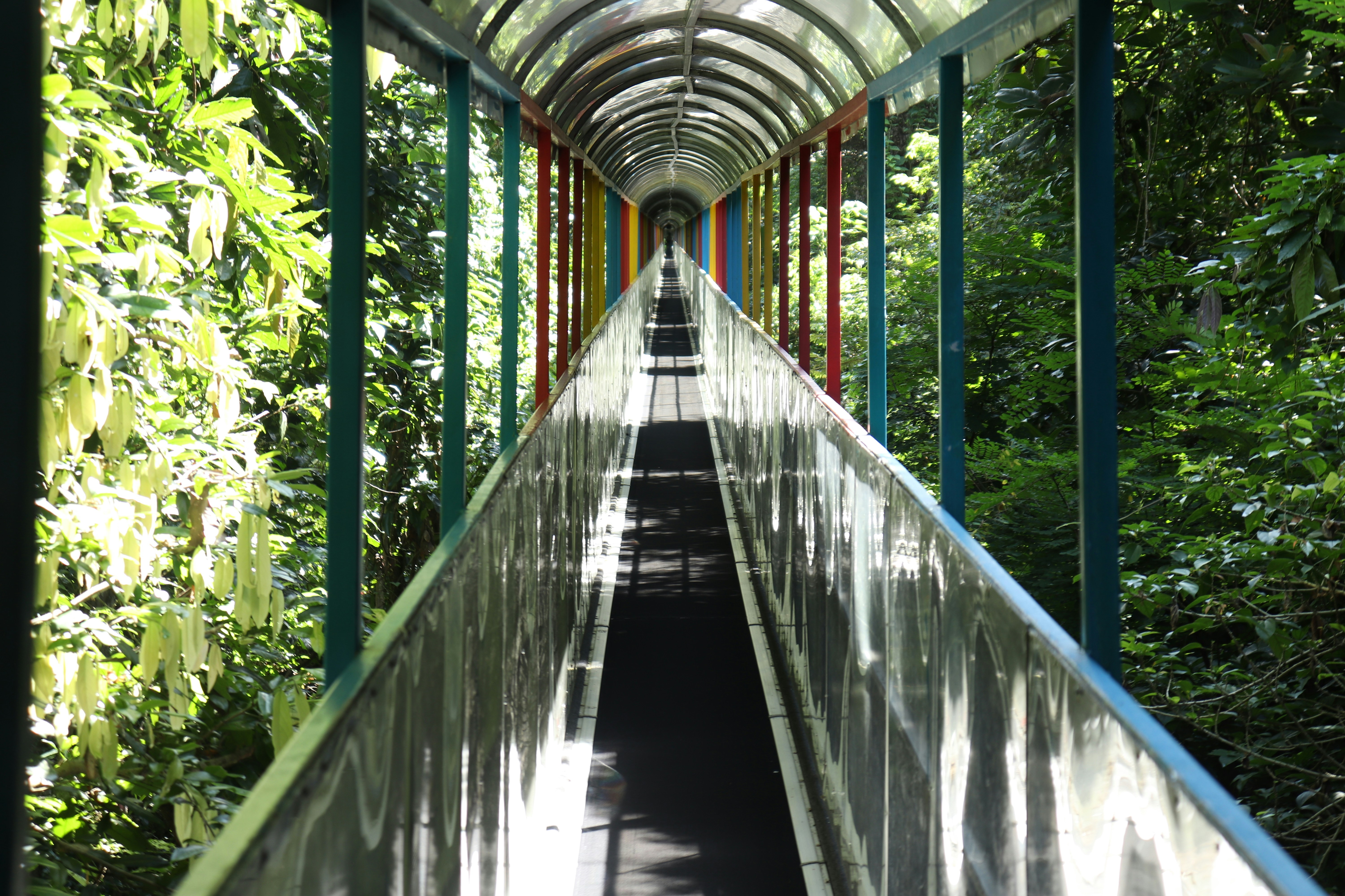 Rainbow Arches along a Glass-Walled Walkway to the Green Horizon