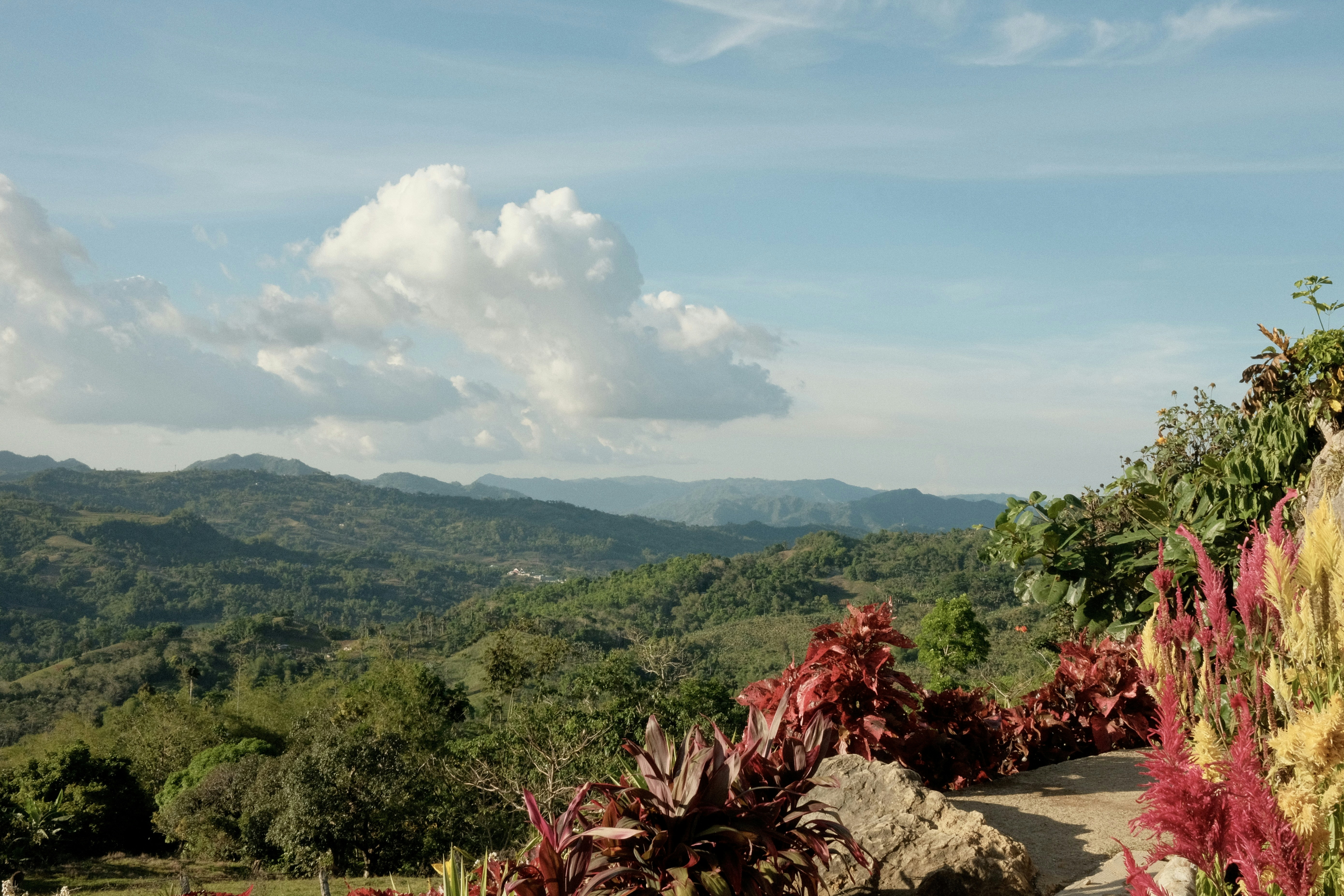 Sunlit Ridge: Panoramic Valley View with Sunset-like Flora