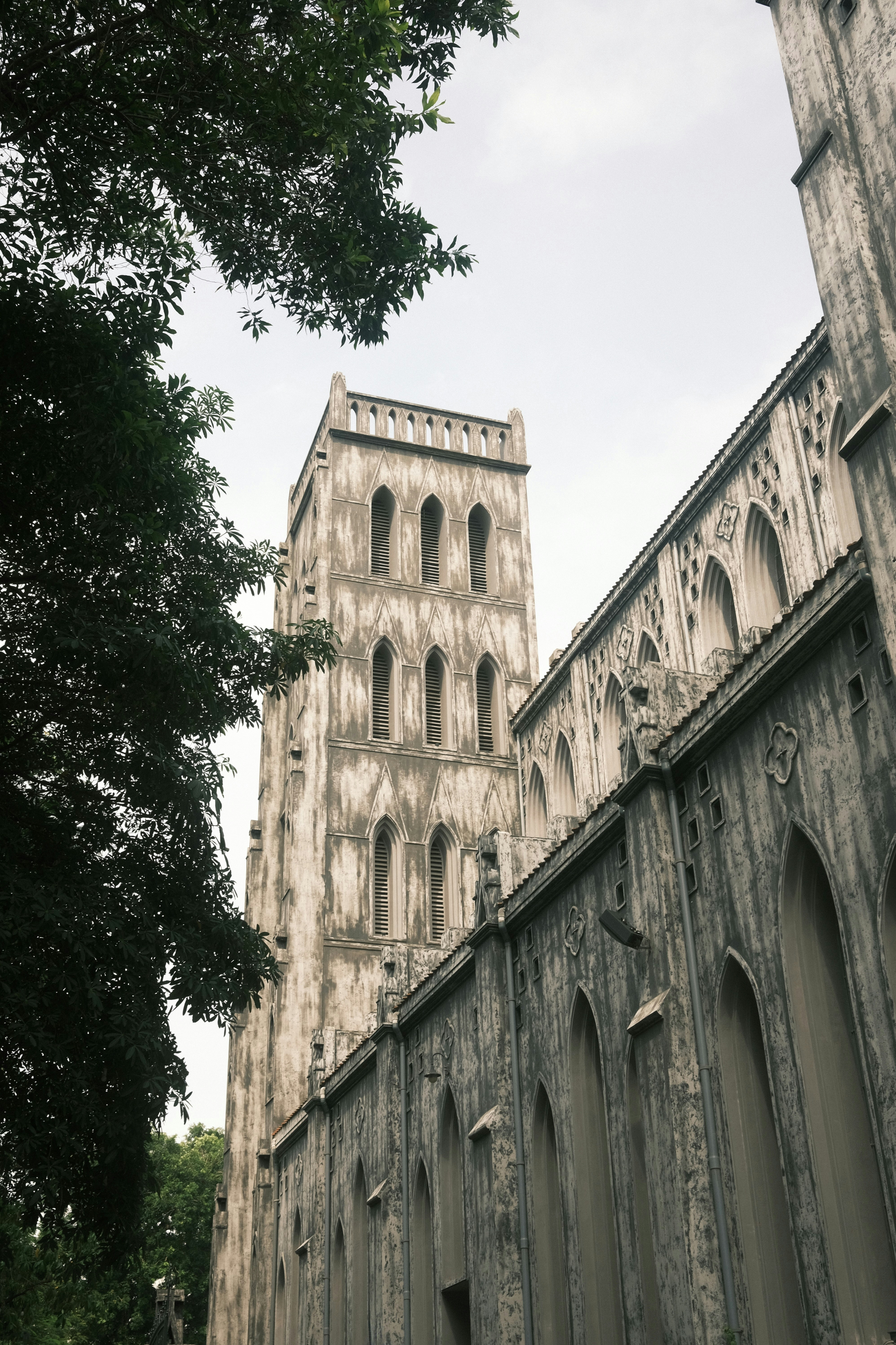 Tower and Tree: A Weathered Gothic Facade Framed by Leafy Silence