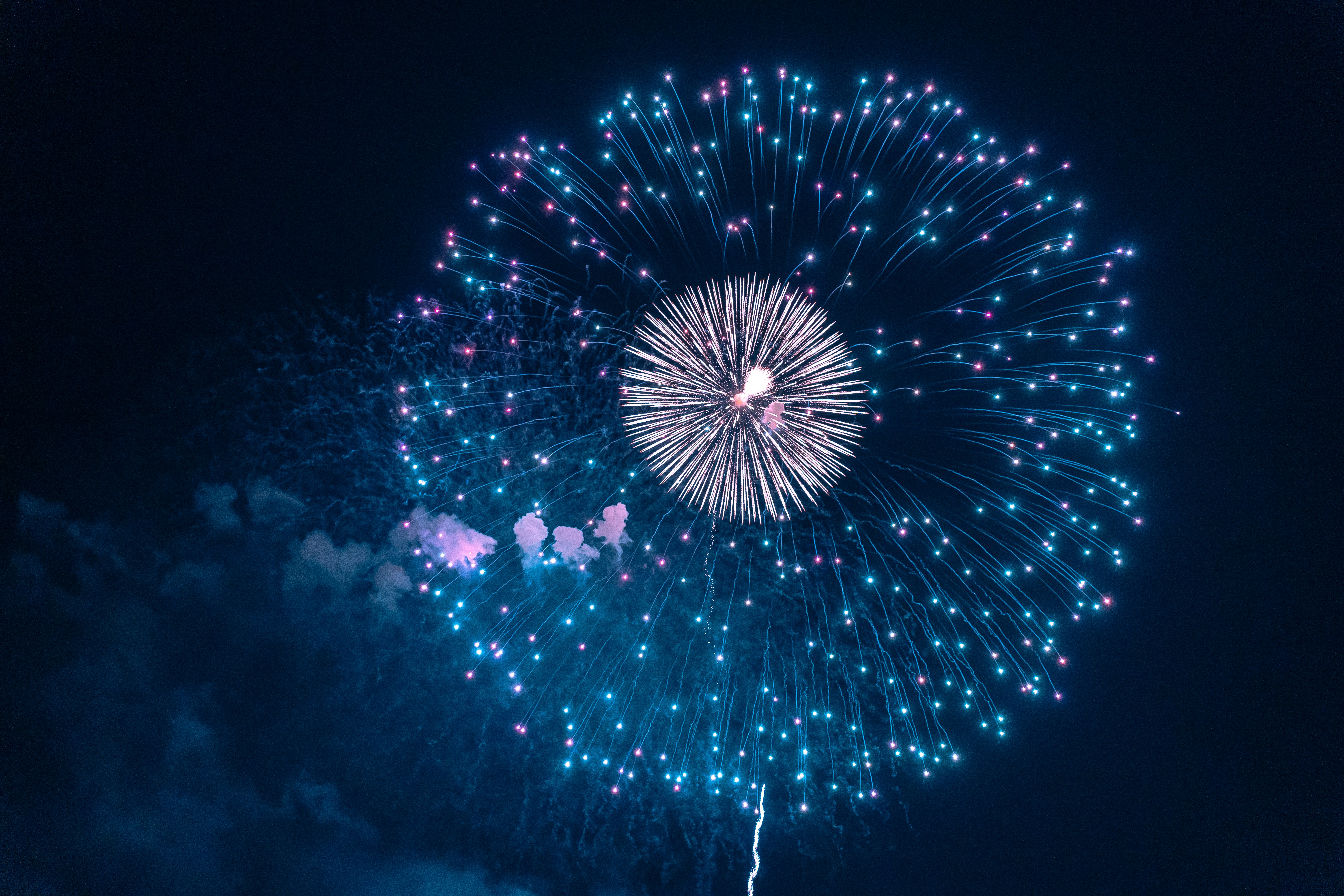 Burst of Blue and White: A Night Firework Bloom Against Deep Indigo Sky