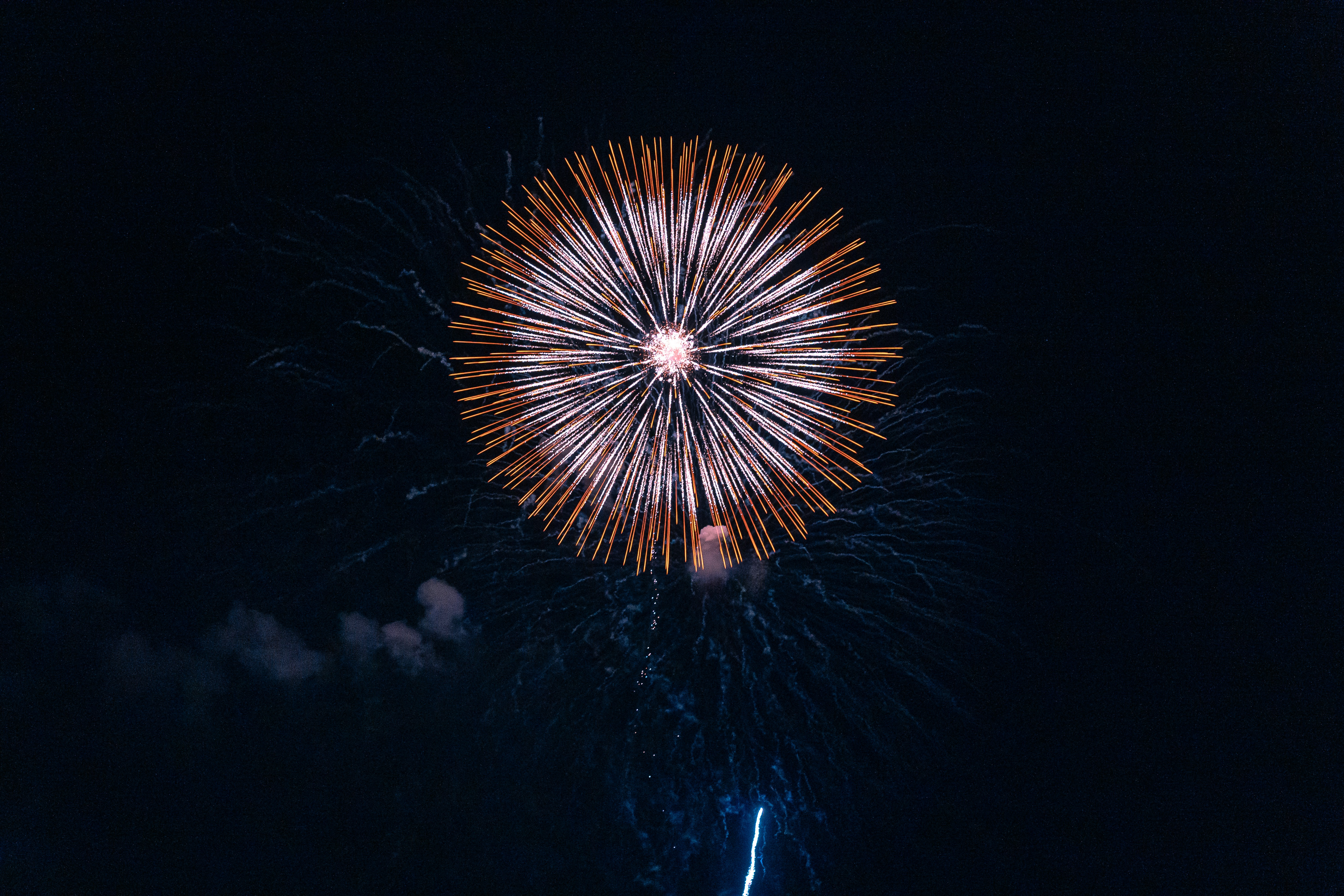 Ember Bloom Over Midnight Sky