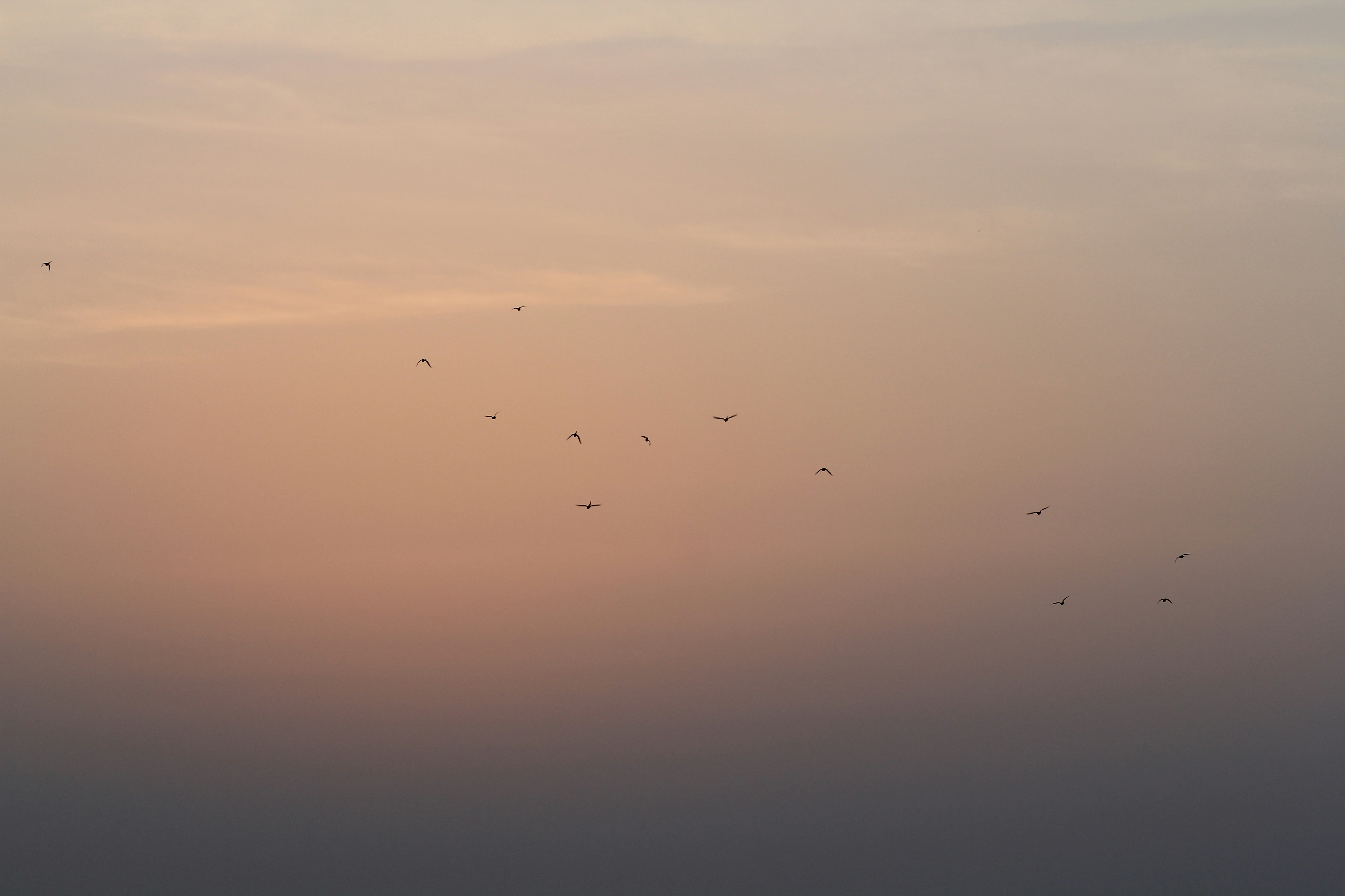 Photo by Chinmay B with Canon EOS 60D