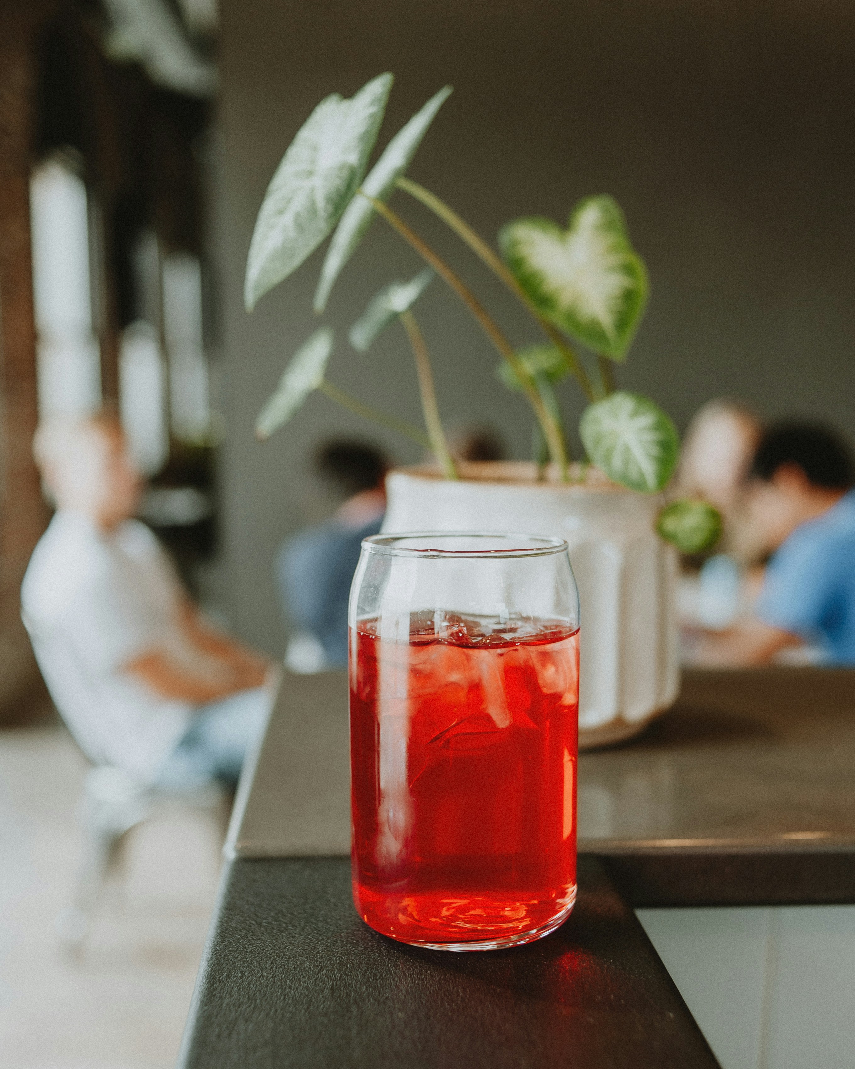 Crimson Citrus at the Café Bar
