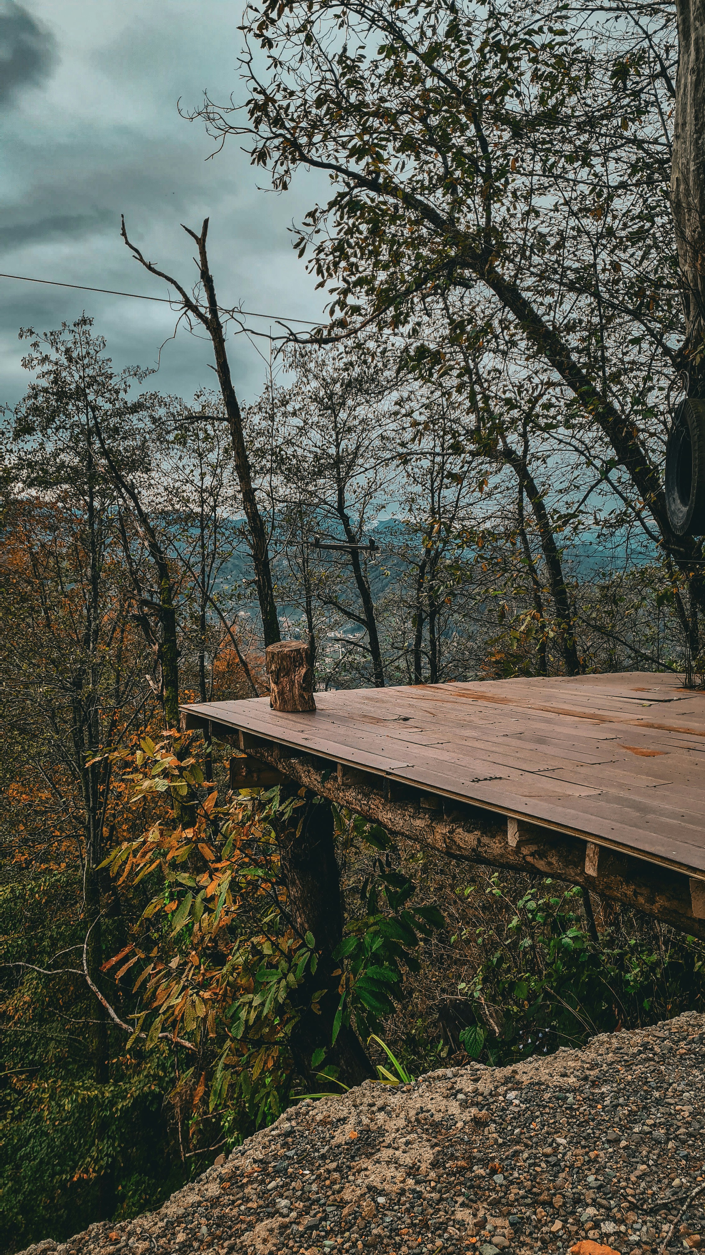 Ridgetop Deck: A Lone Log Anchored on the Forest Edge