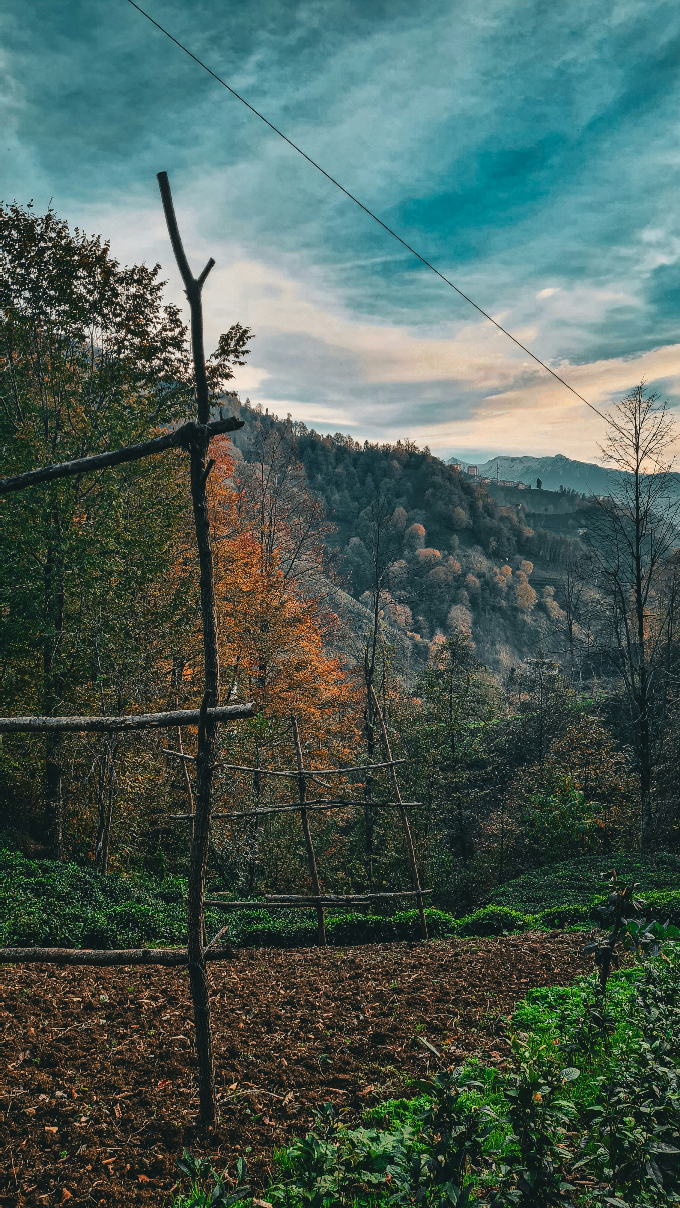 Autumn Ridge: A Quiet Farm Stairway to The Horizon