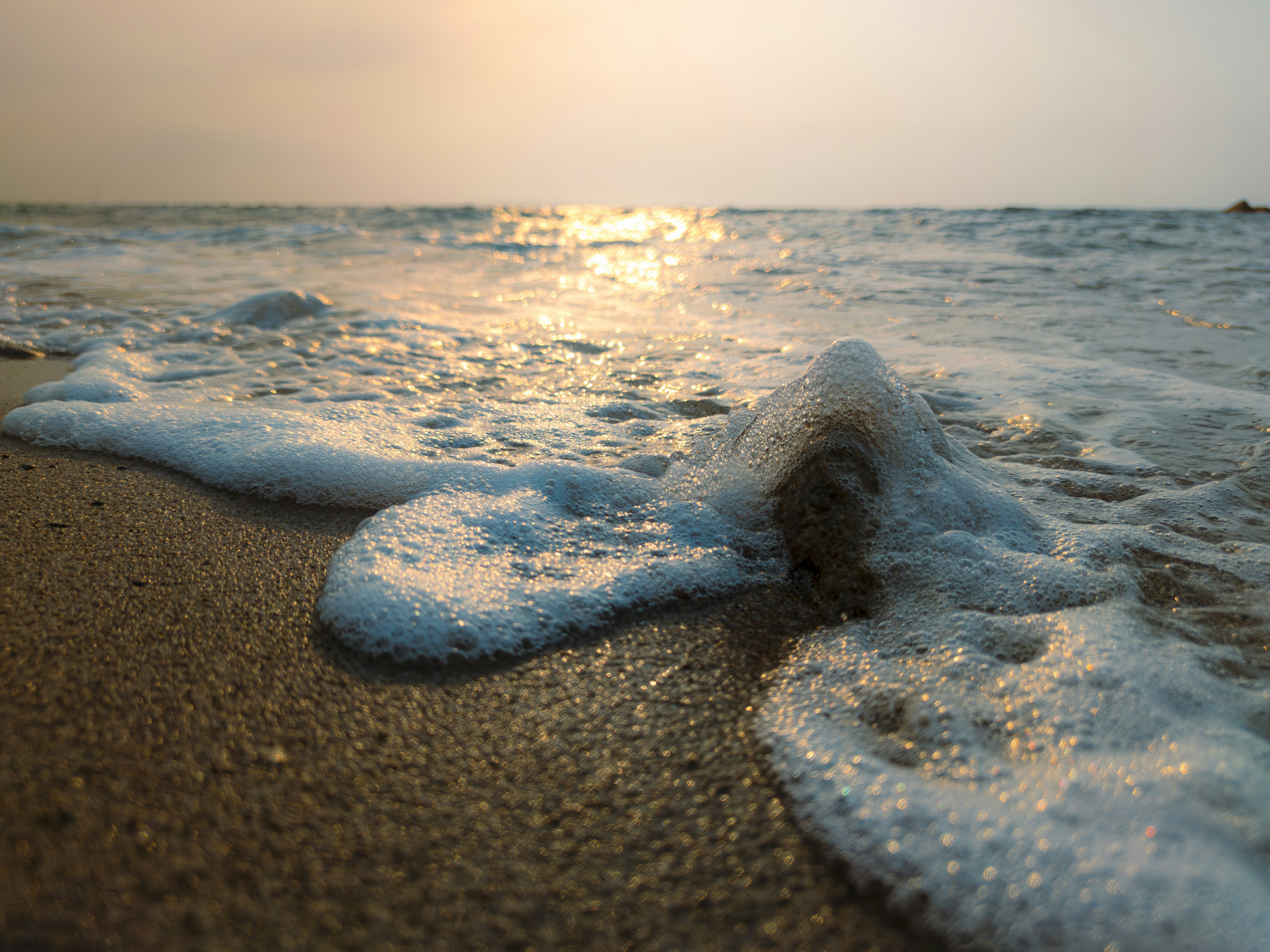 Foamy waves wash onto a sunlit beach at golden hour, capturing wet sand texture and gentle sea spray near the shore. This is a photographic scene, not a logo or illustration.