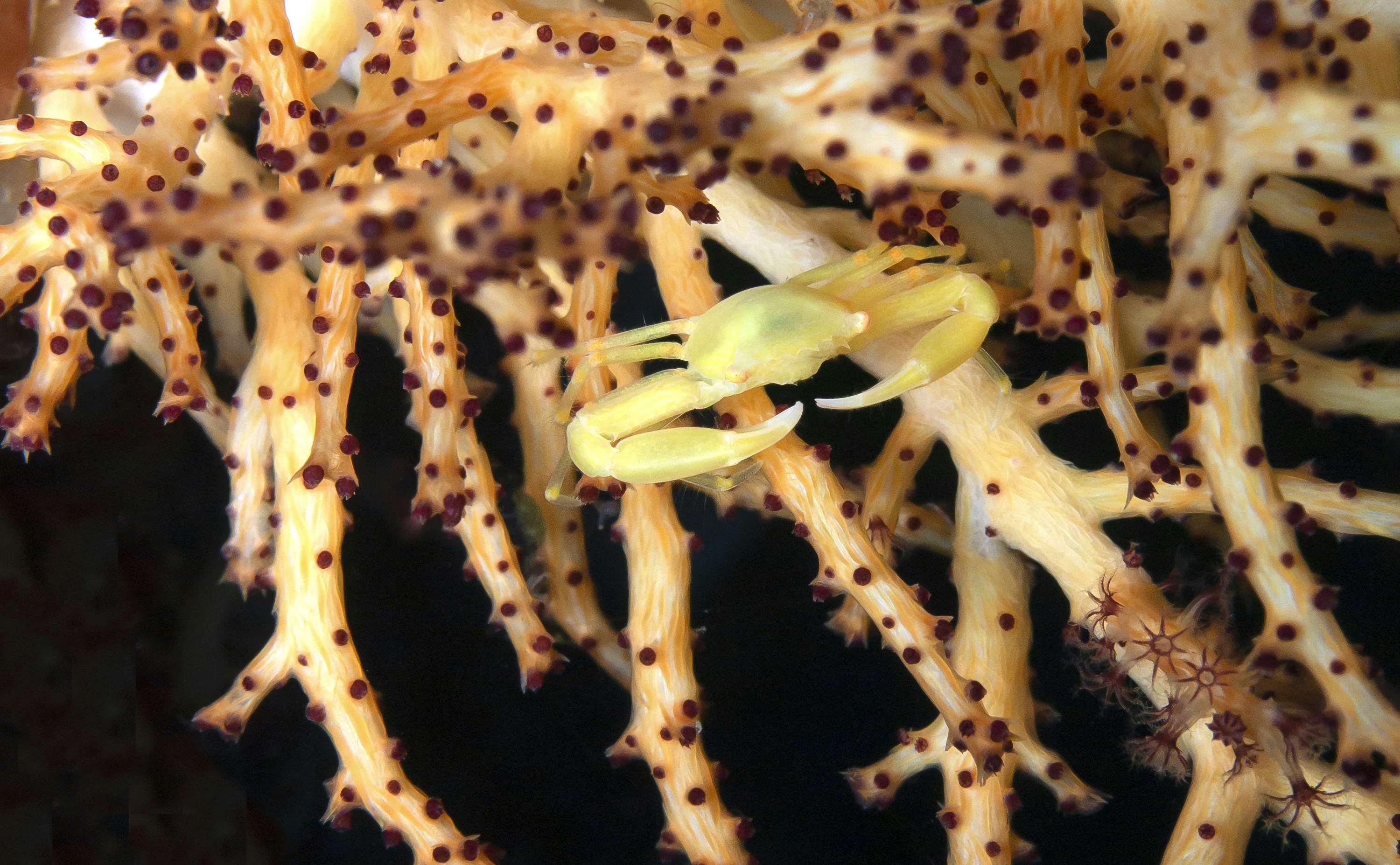 Sample photo from Olympus PEN E-PL3